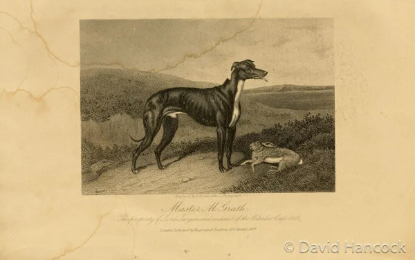 1236 — David Hancock