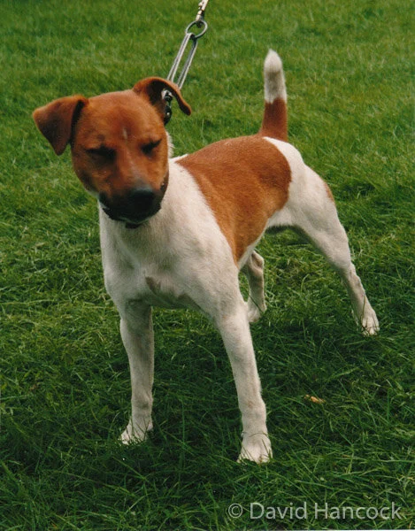 1116 — David Hancock