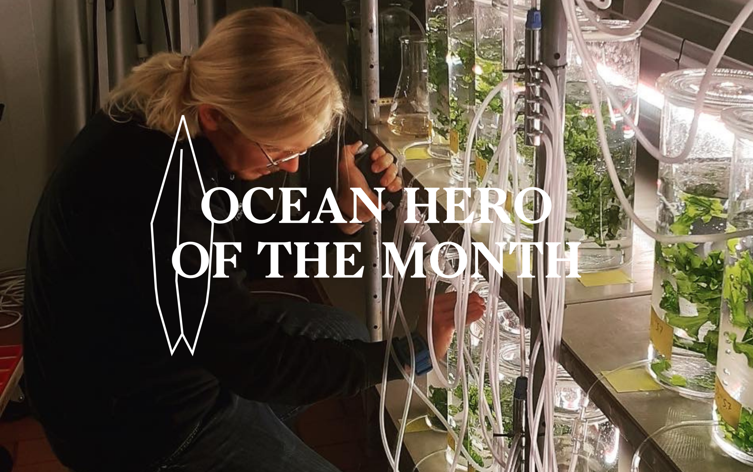 Kristoffer — Nordic Ocean Watch Denmark