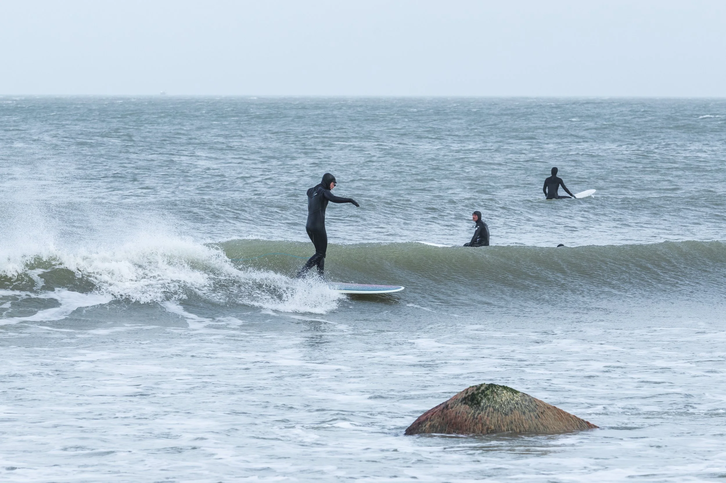Kristoffer — Nordic Ocean Watch Denmark