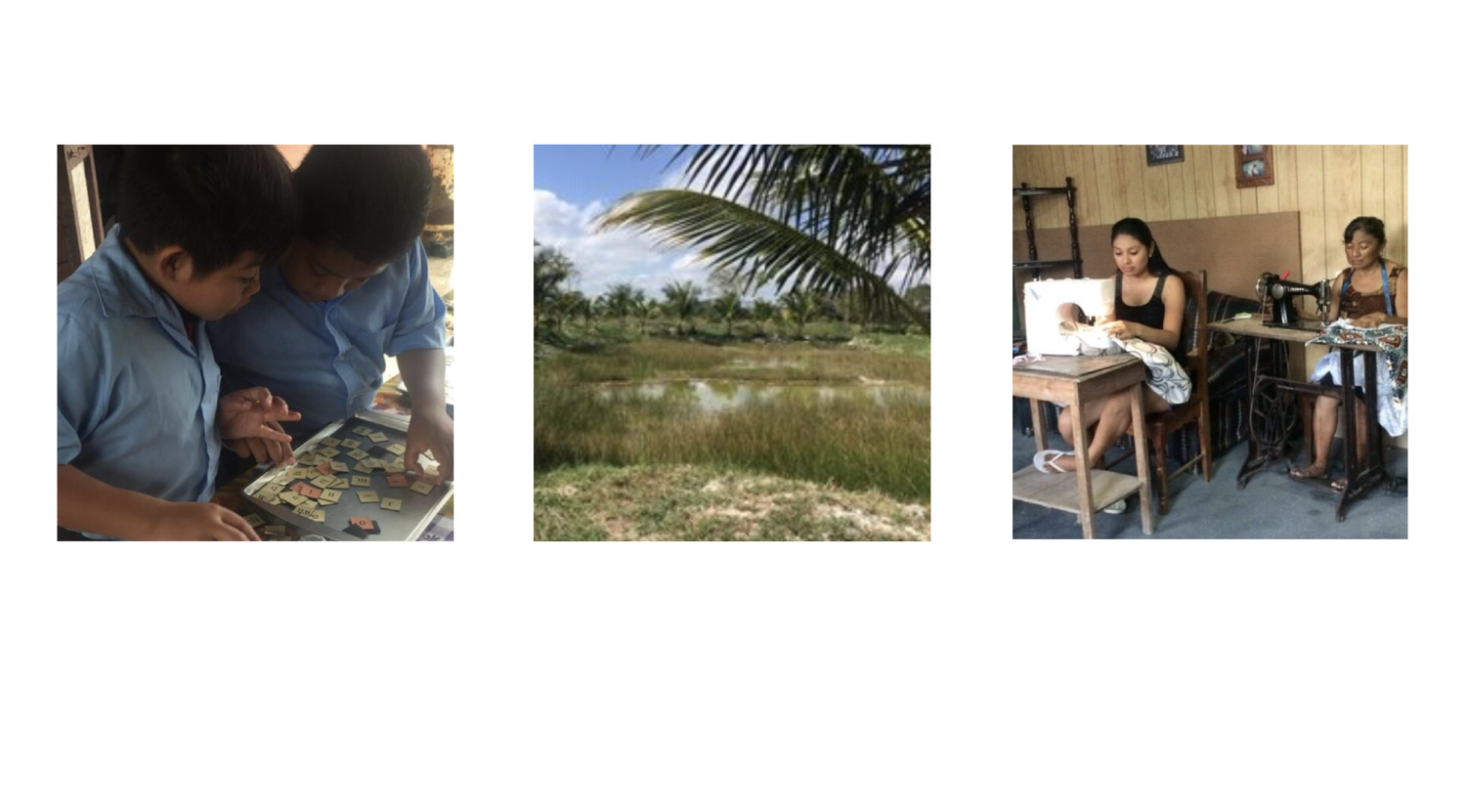 The Belize Project