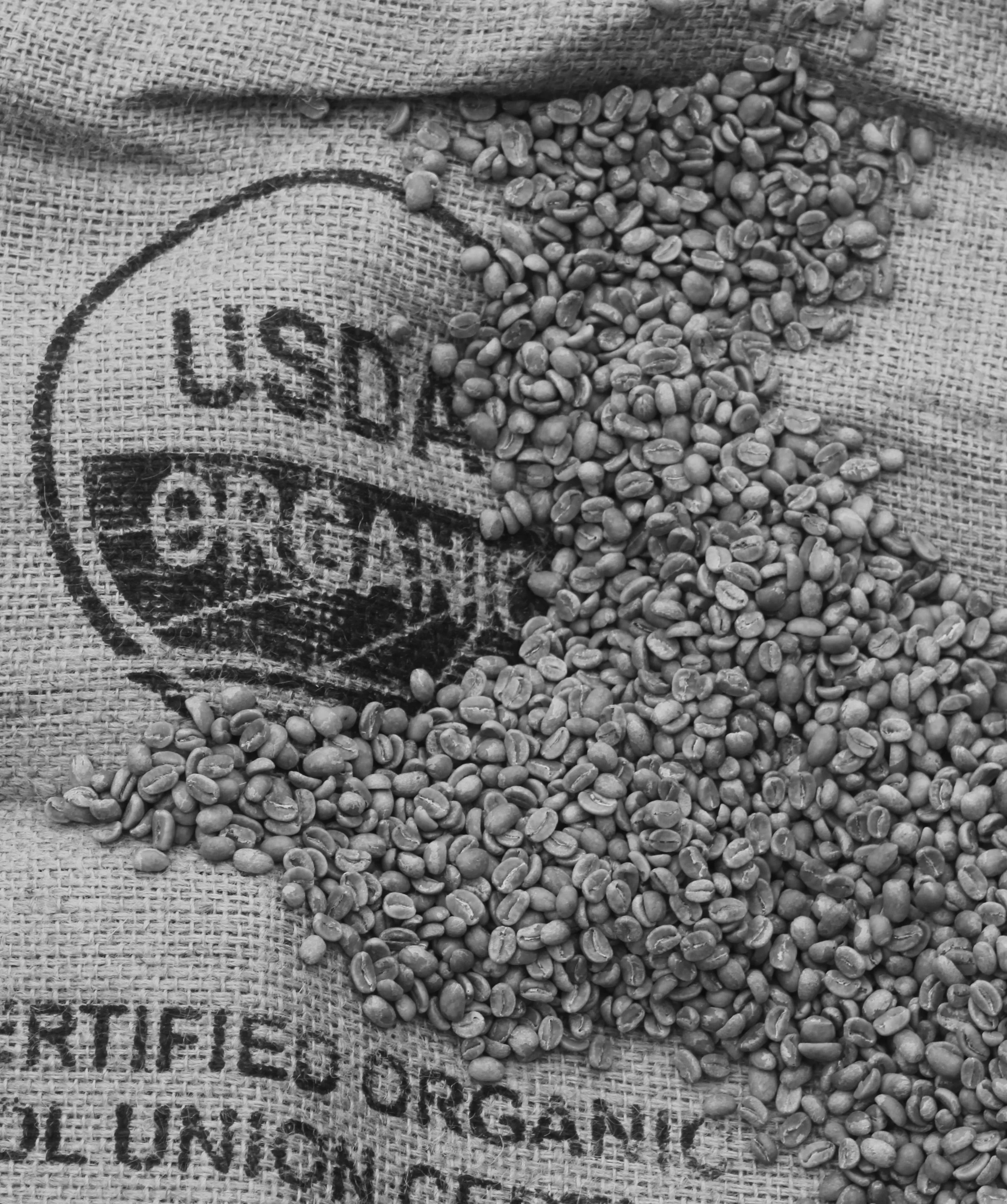 Mile Zero Coffee Co.