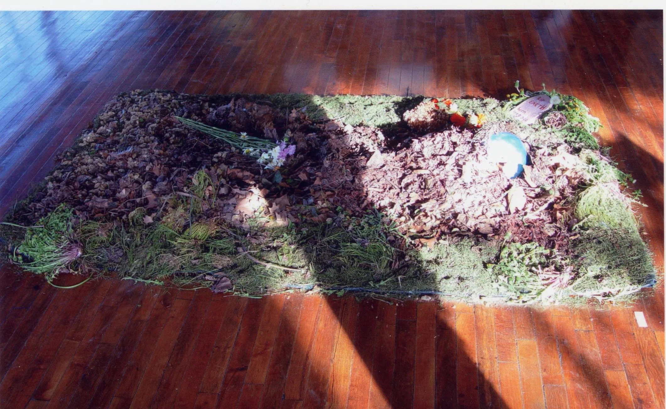 Art: The unique perspective of Paula Weiner & Anita Kushner