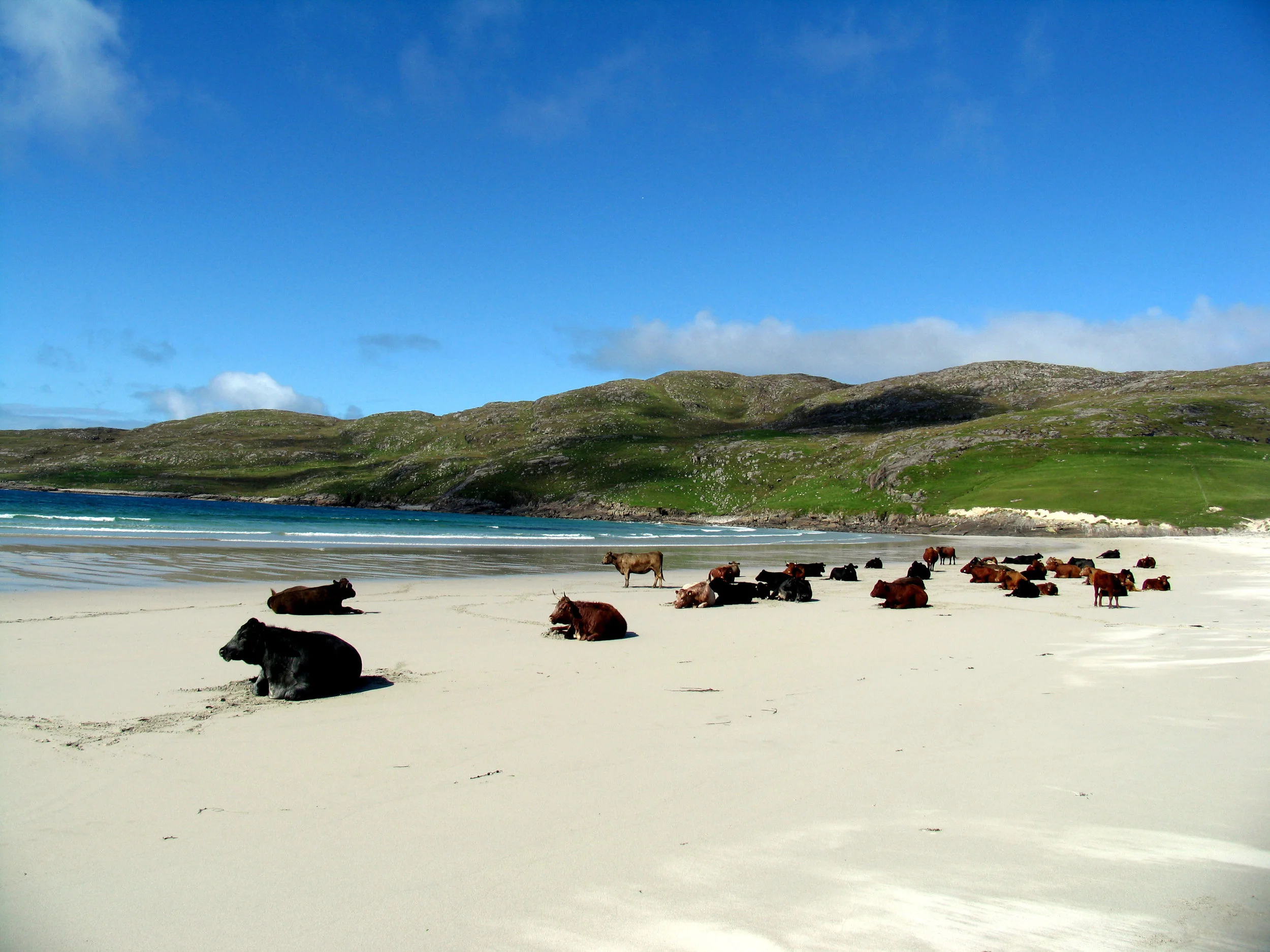 Barra Airport Isle of Barra — Hebridean Whale Trail