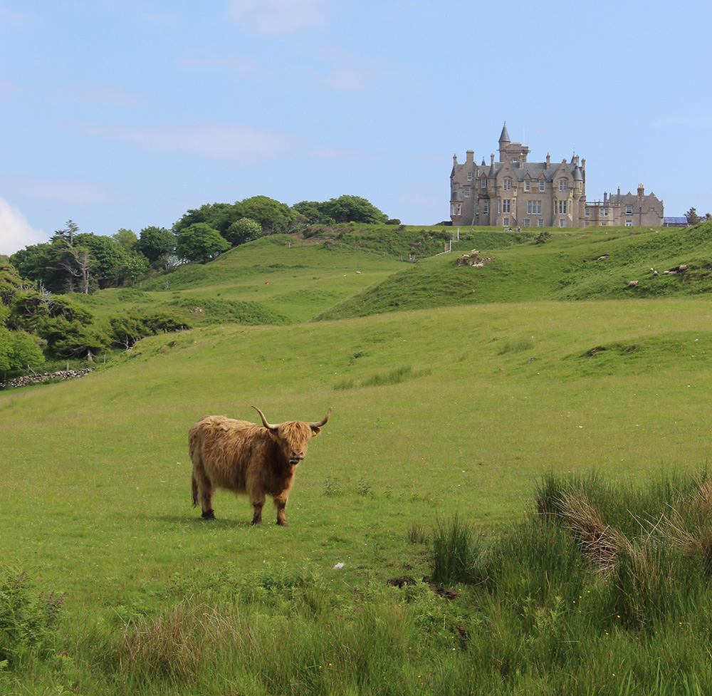 Glengorm Isle of Mull — Hebridean Whale Trail