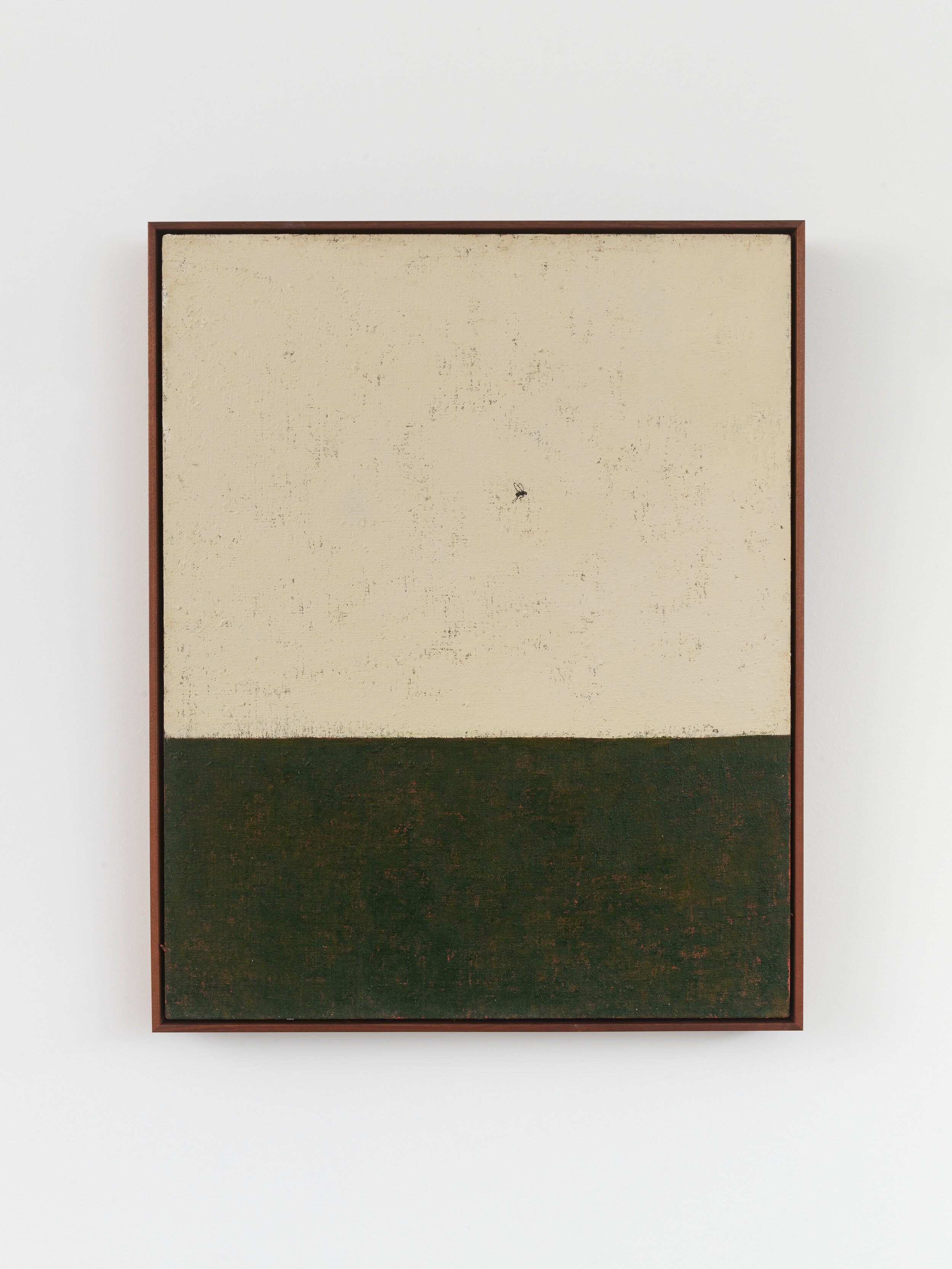 CLARE ROJAS — SOCO Gallery