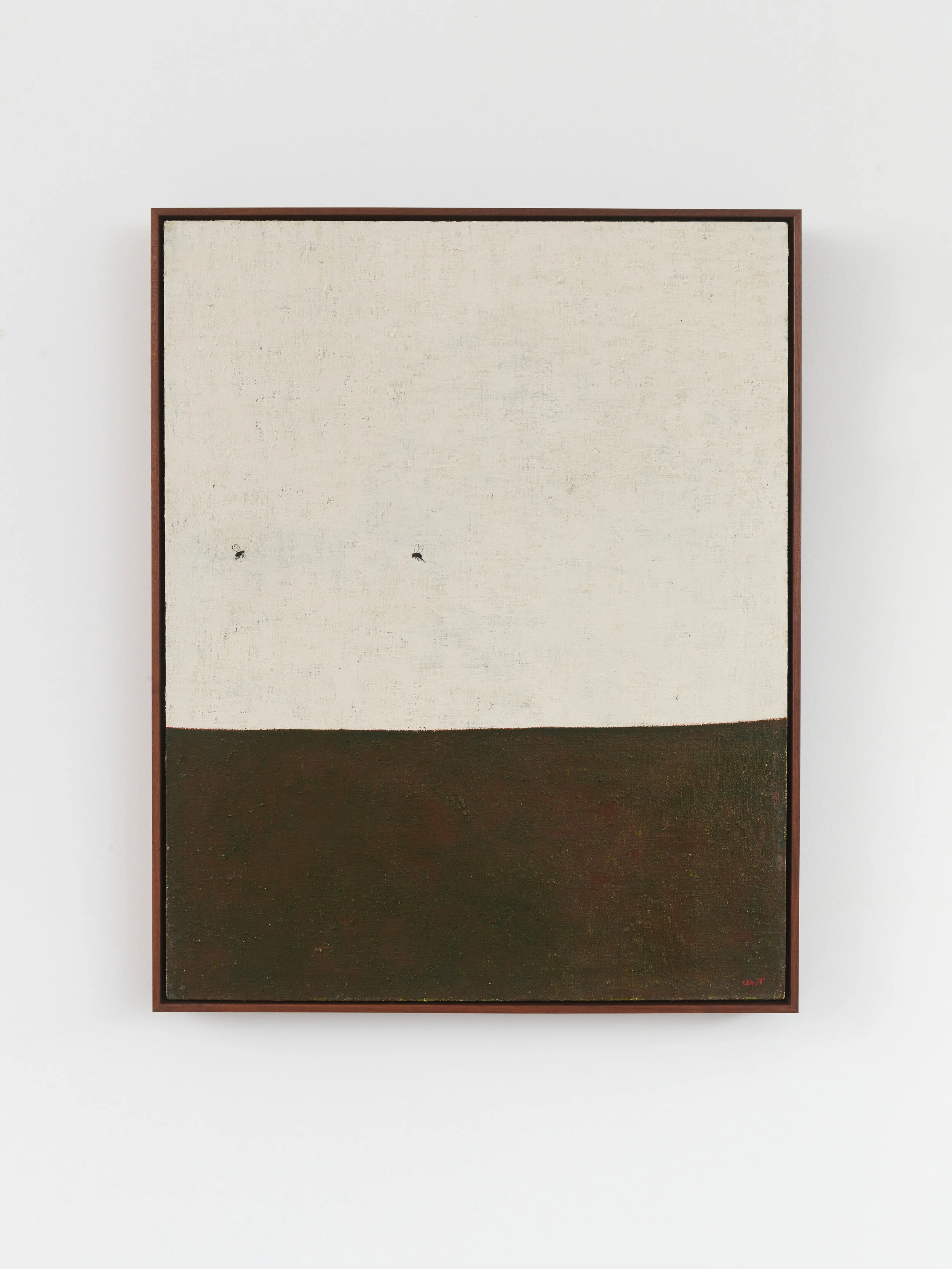 CLARE ROJAS — SOCO Gallery