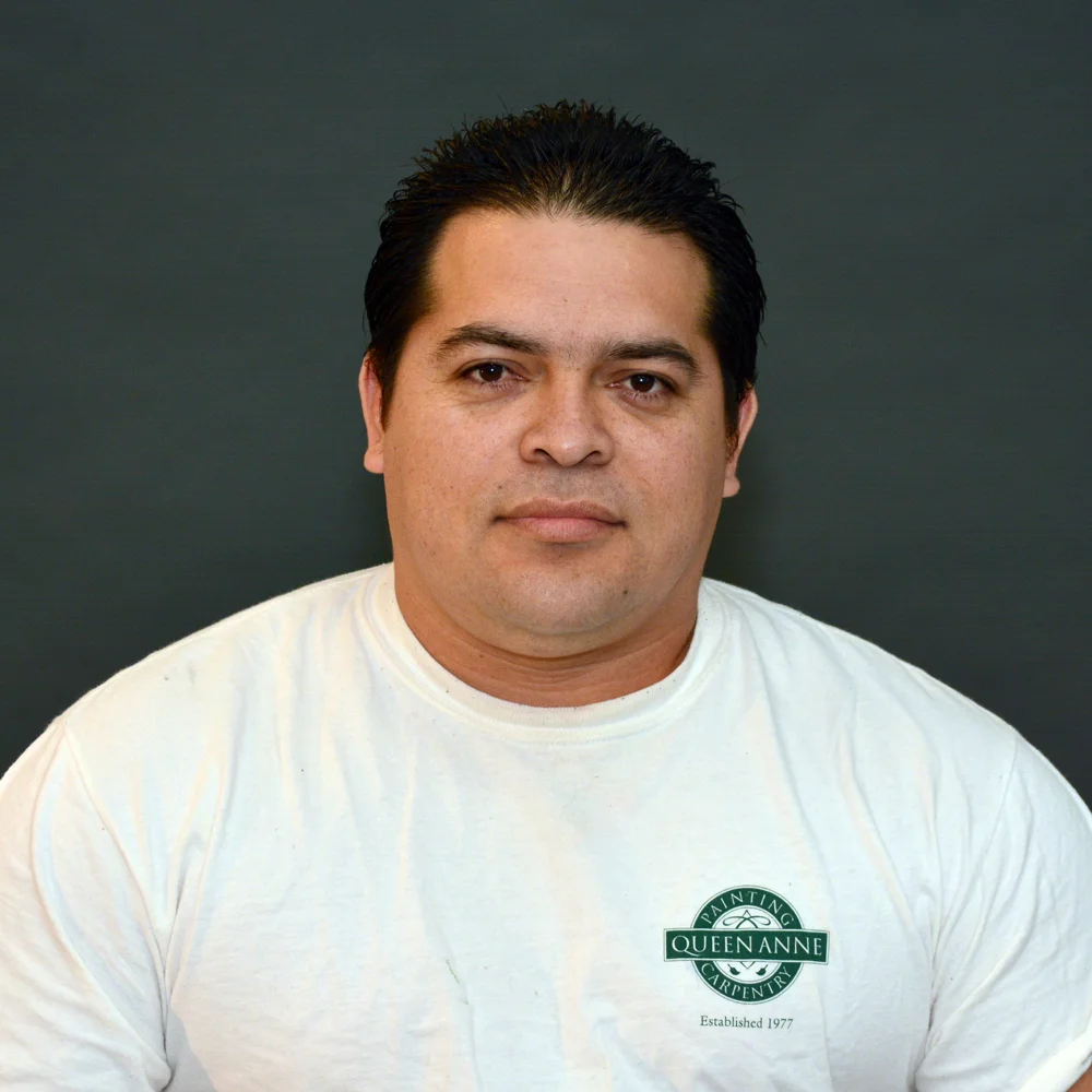 About — Queen Anne Painting