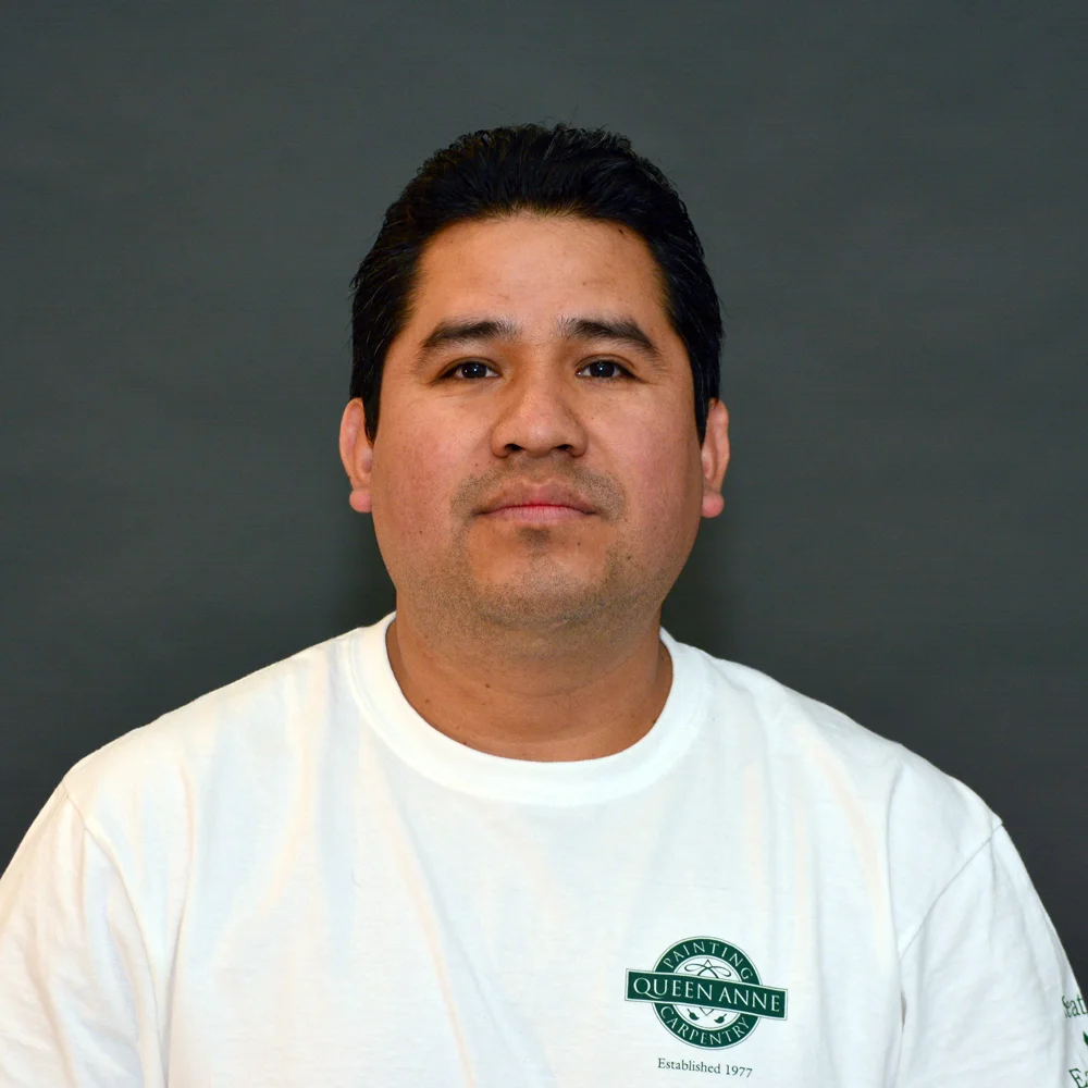 About — Queen Anne Painting