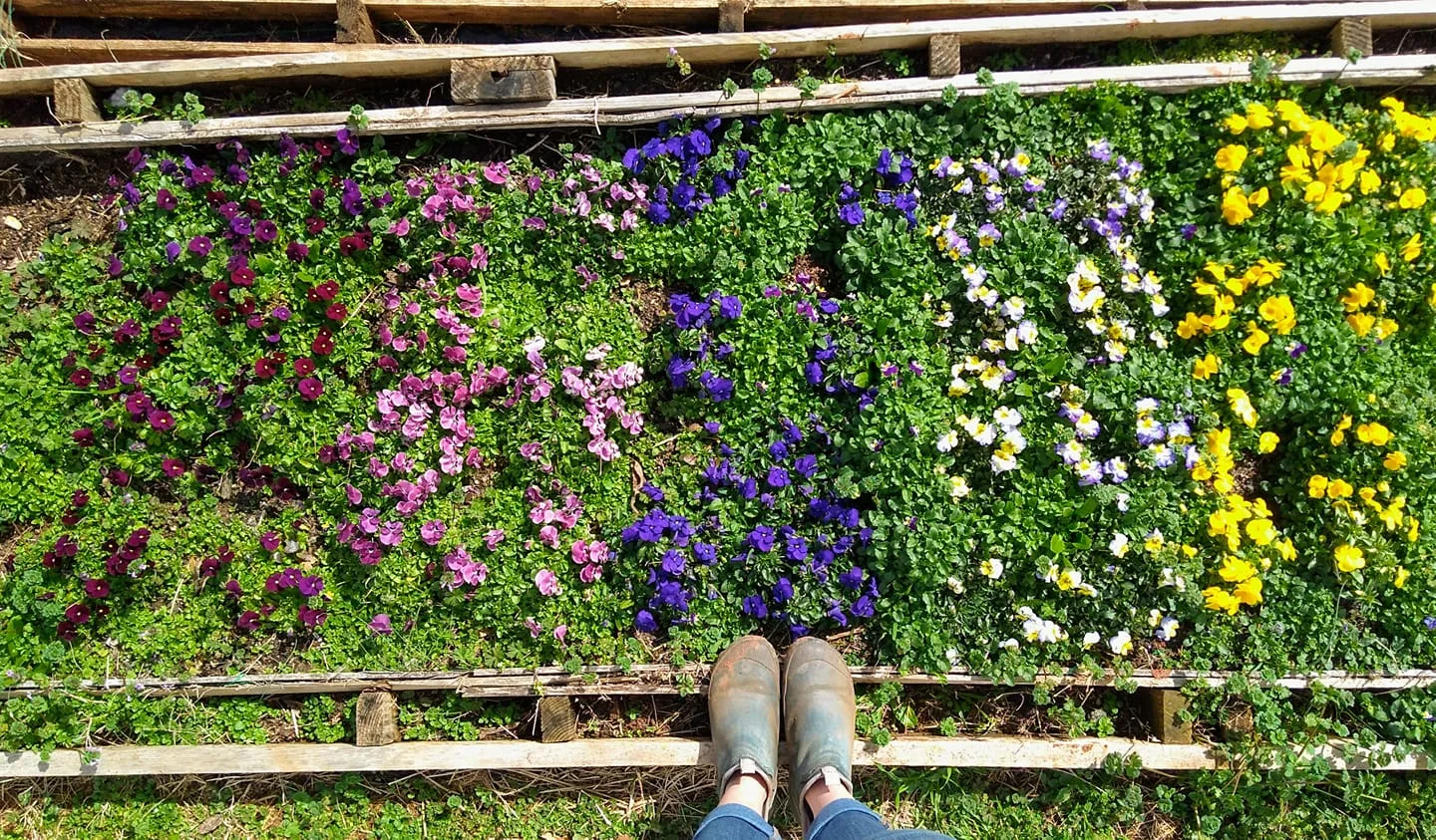 Growing Green Family Farms