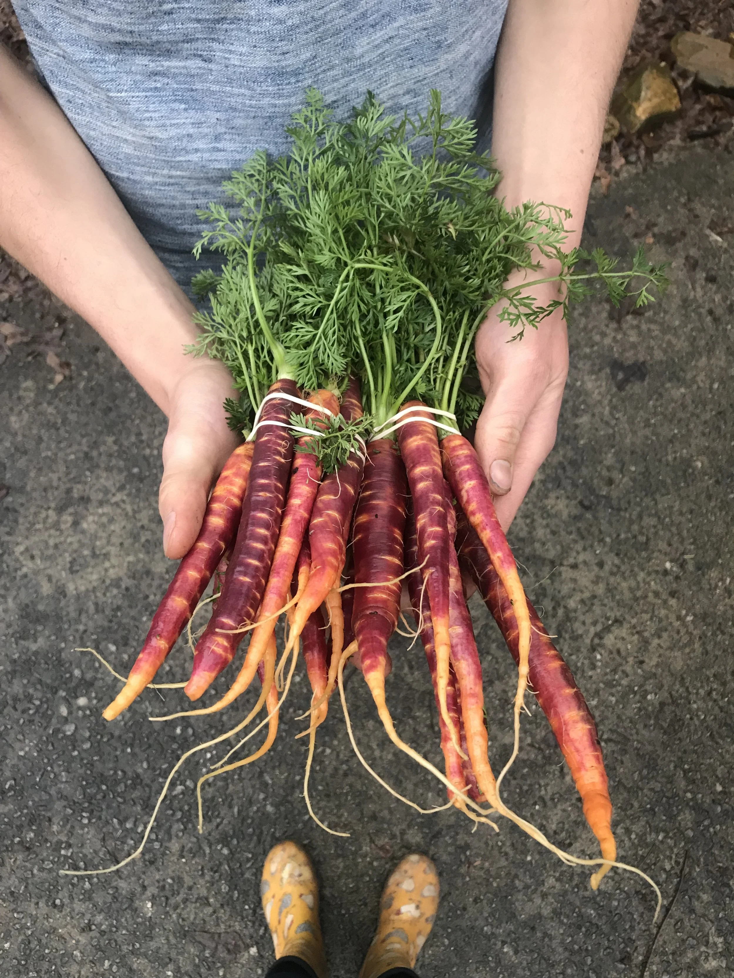 Growing Green Family Farms