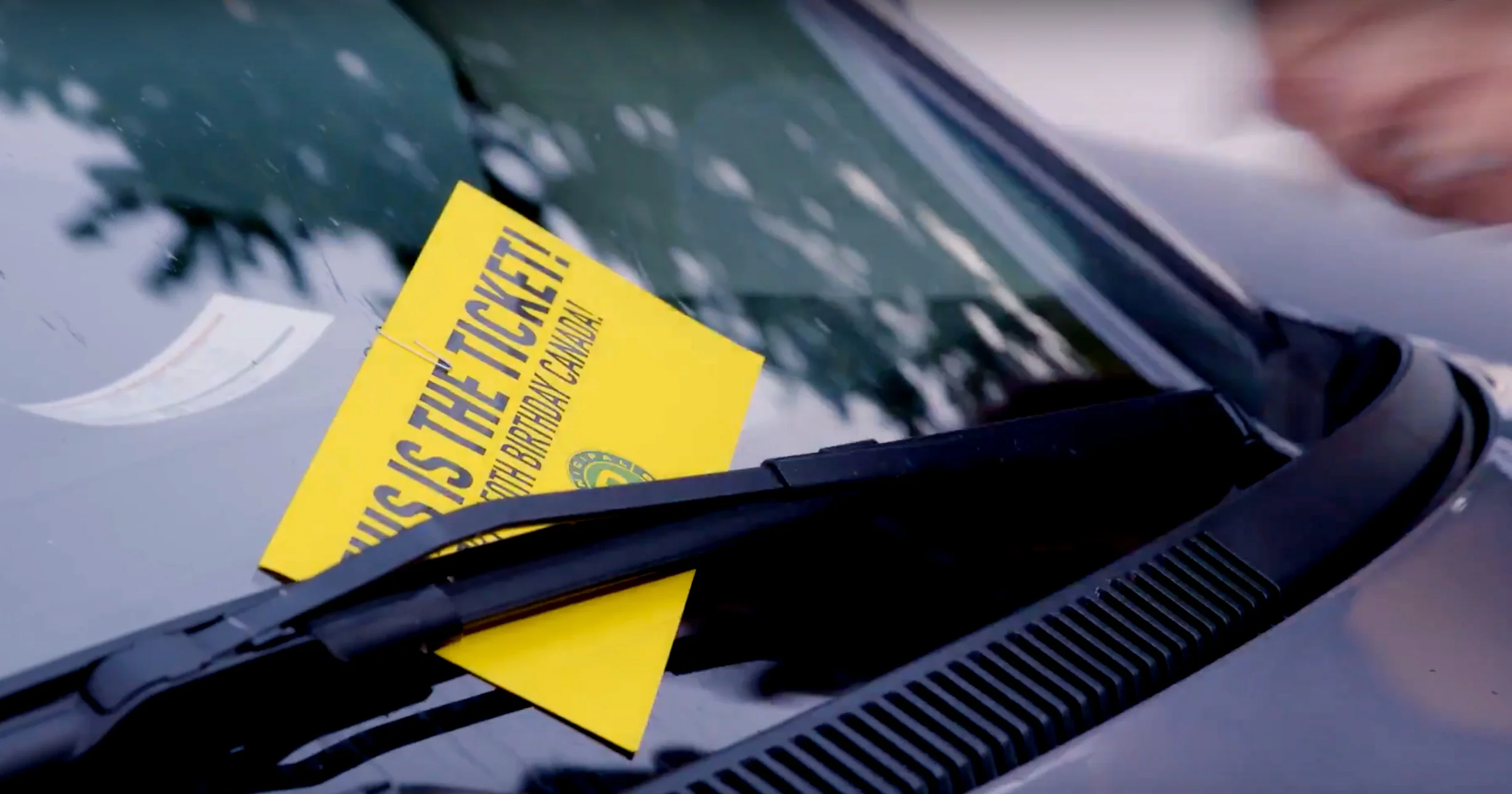 Patrick Weir - Creative Director