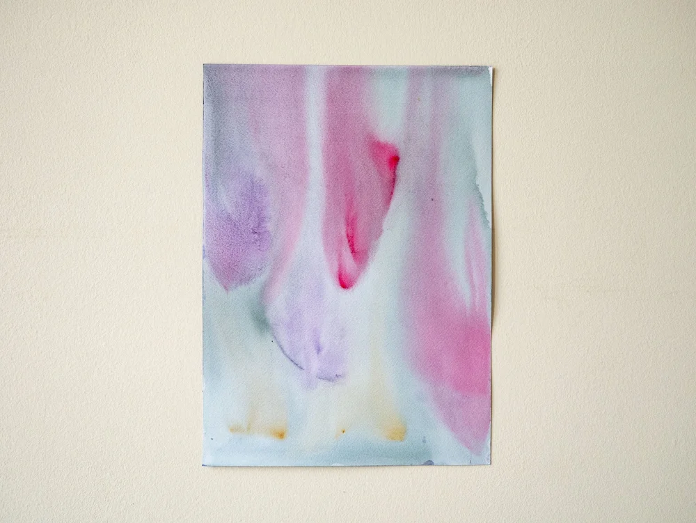 MERGE Collection - Vessna Scheff