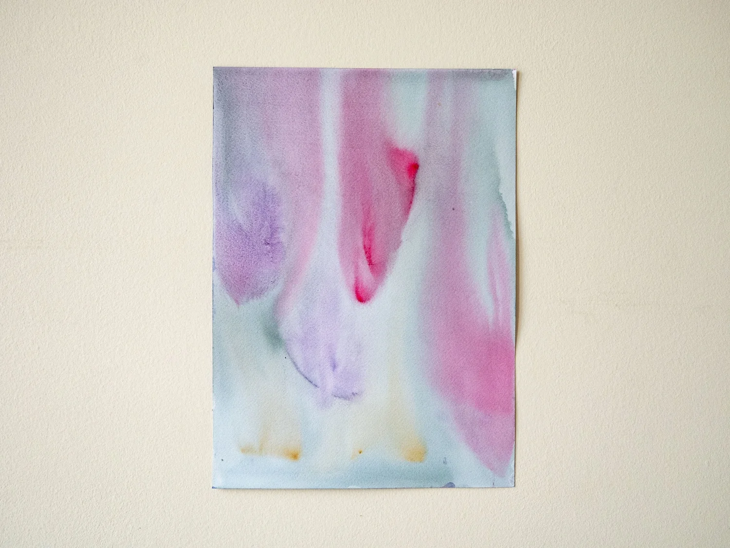 MERGE Collection - Vessna Scheff
