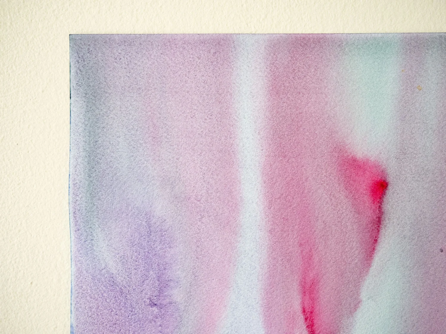MERGE Collection - Vessna Scheff