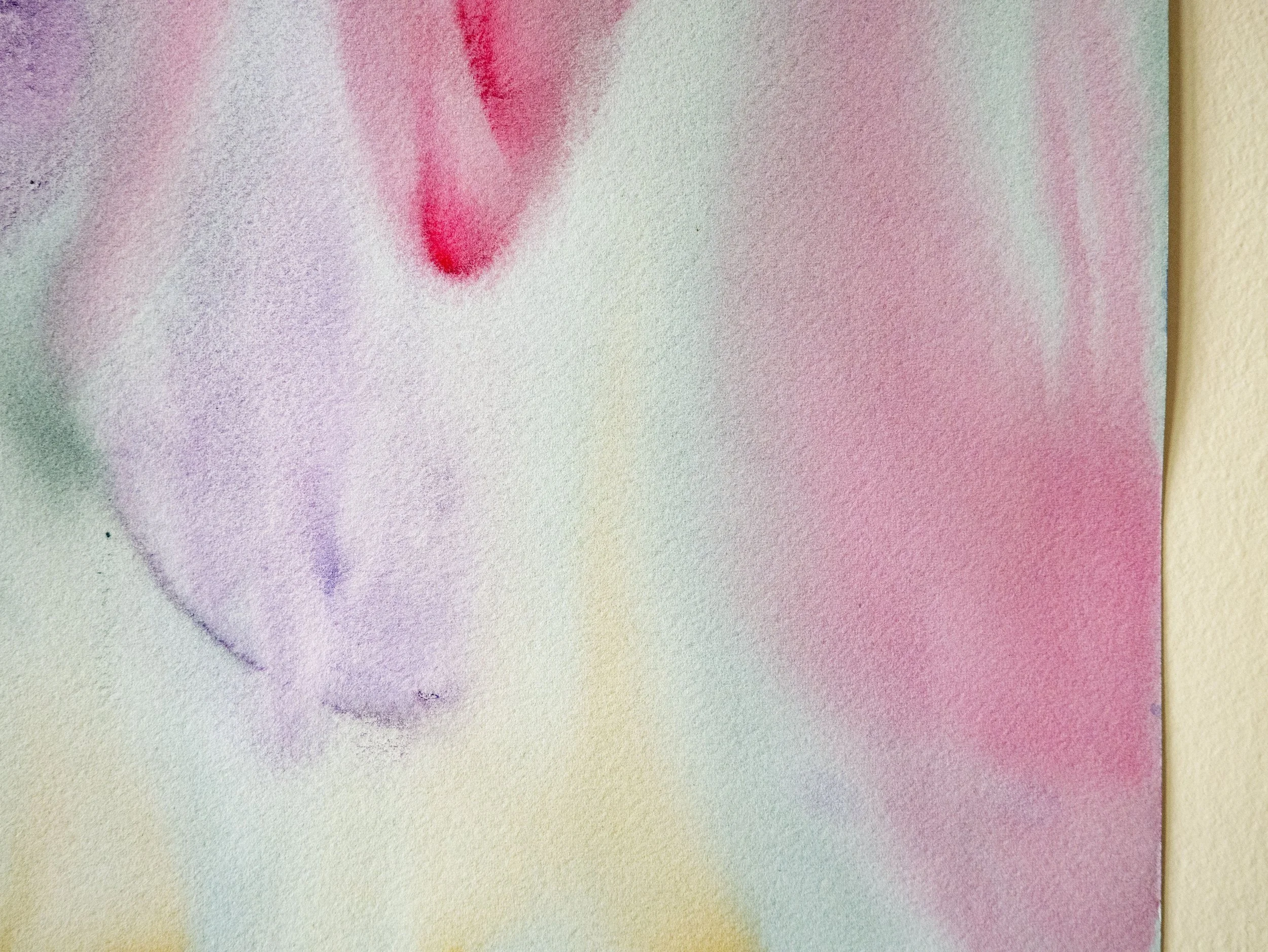 MERGE Collection - Vessna Scheff