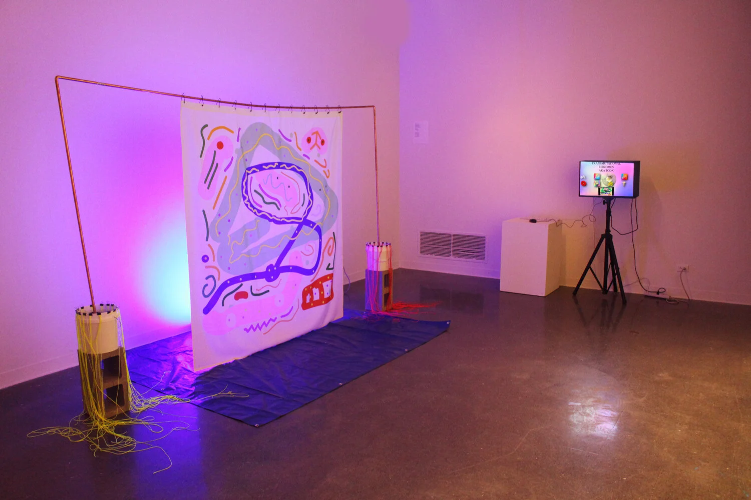 Edgar Fabián Frías