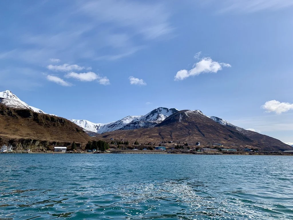 News — Chignik Lagoon Native Corporation