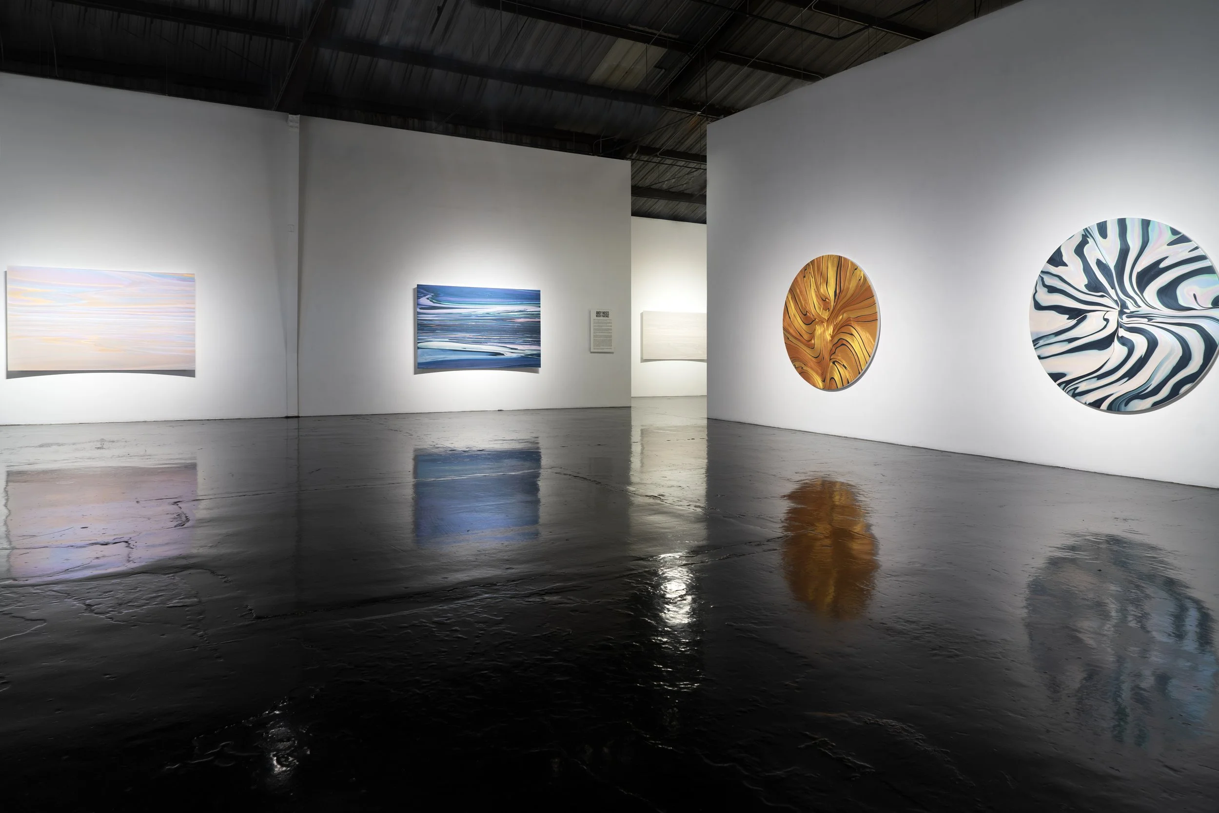 Andy Moses: Recent Paintings — William Turner Gallery