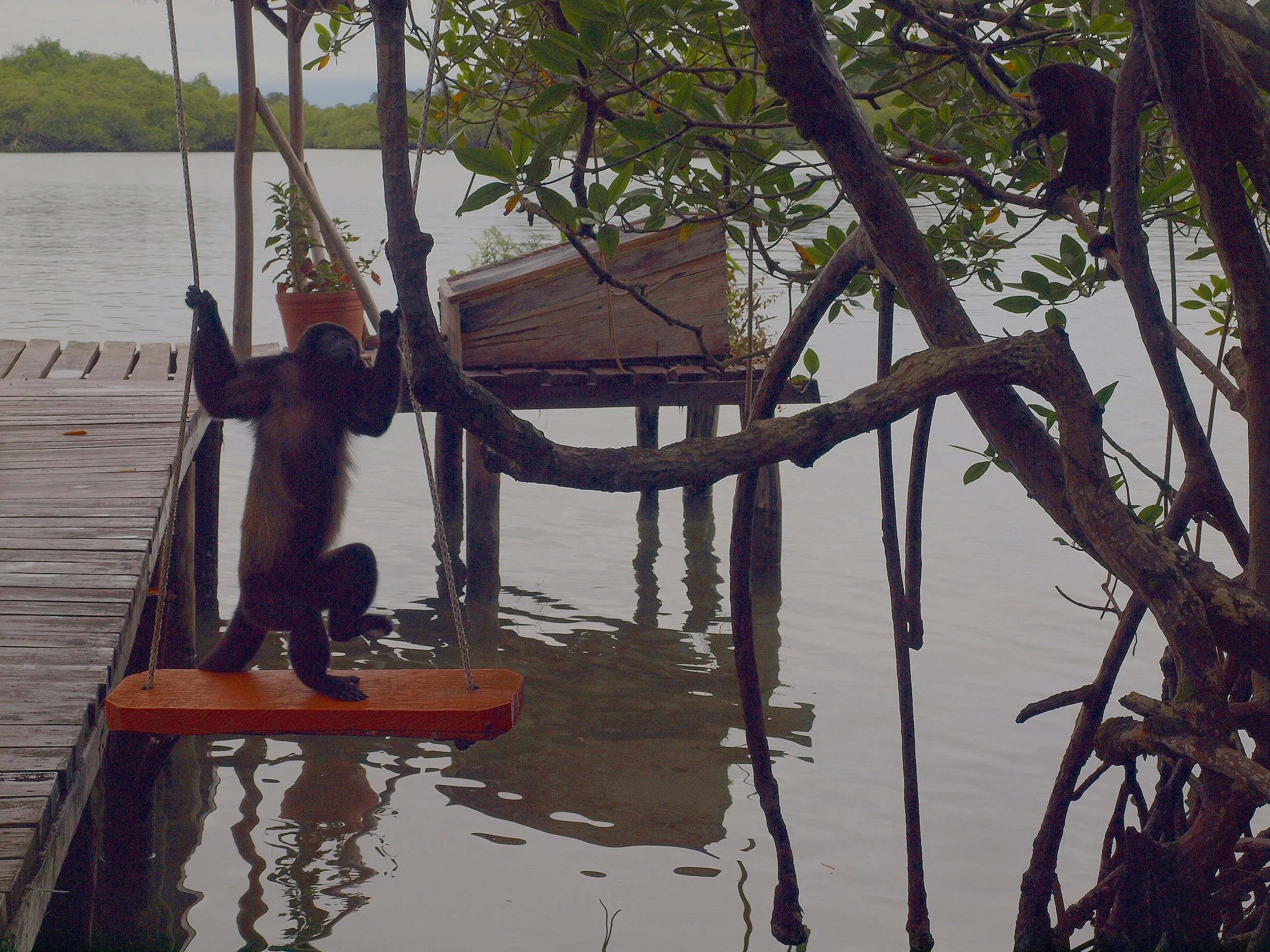 Adventure — Casa Cayuco