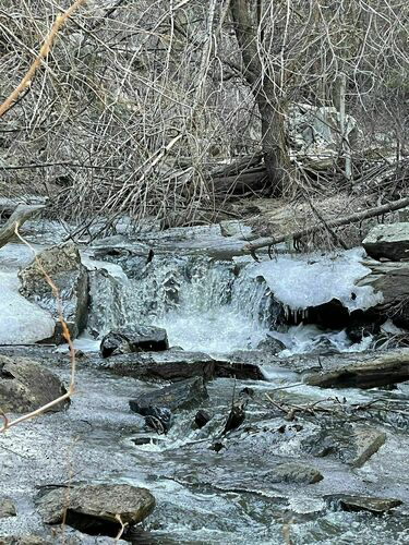 Find Joy on the Trails at Chavez and Beaver Brook Braille Trail — West ...