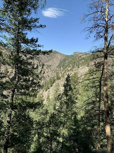 Find Joy on the Trails at Chavez and Beaver Brook Braille Trail — West ...