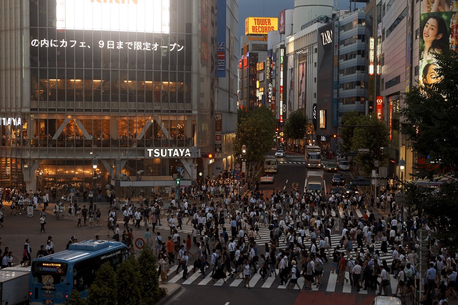 Our Guide to Tokyo | Cutler Fitzroy