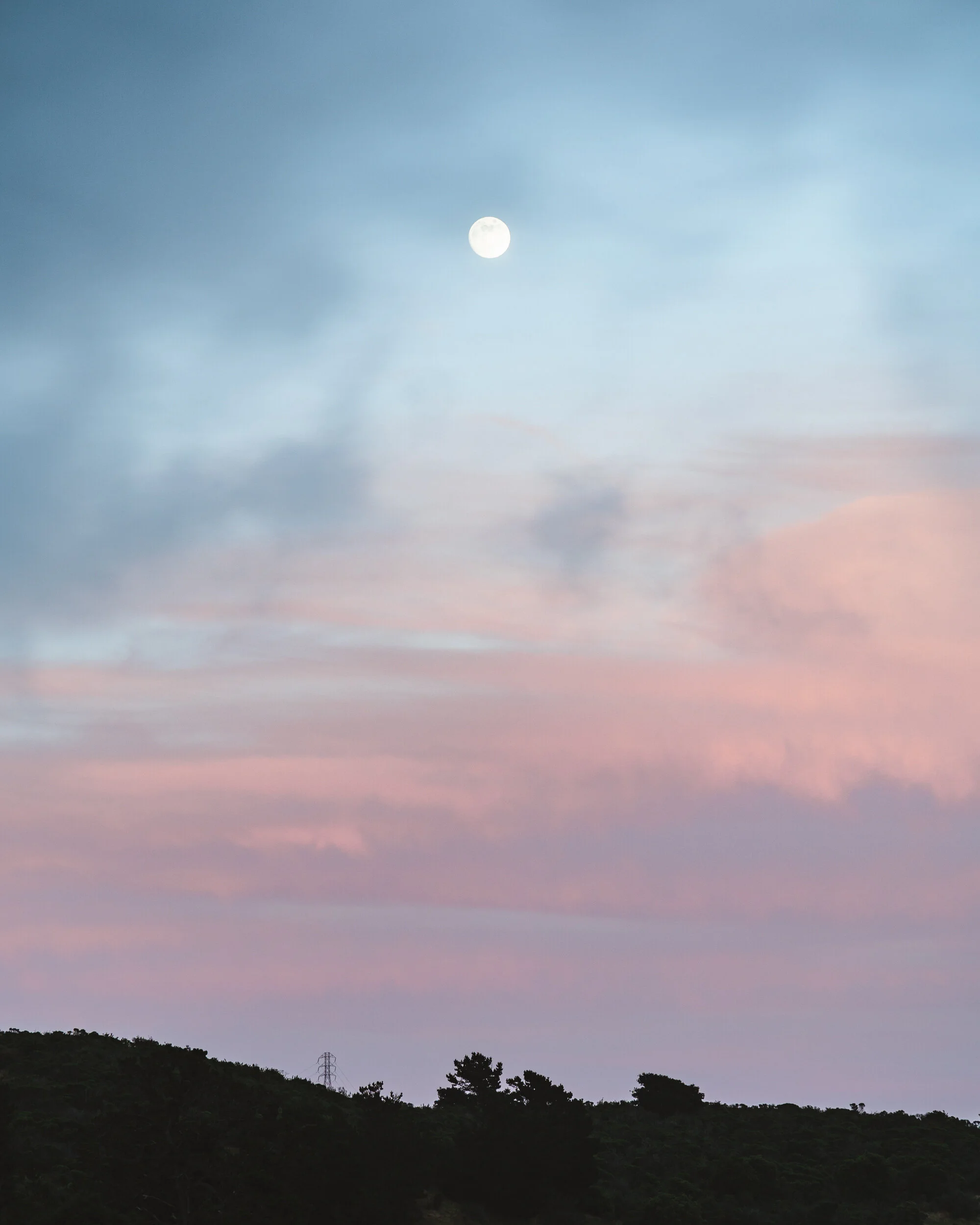 What I'll Miss About the Bay — Photographer Edition | C by Eva ...