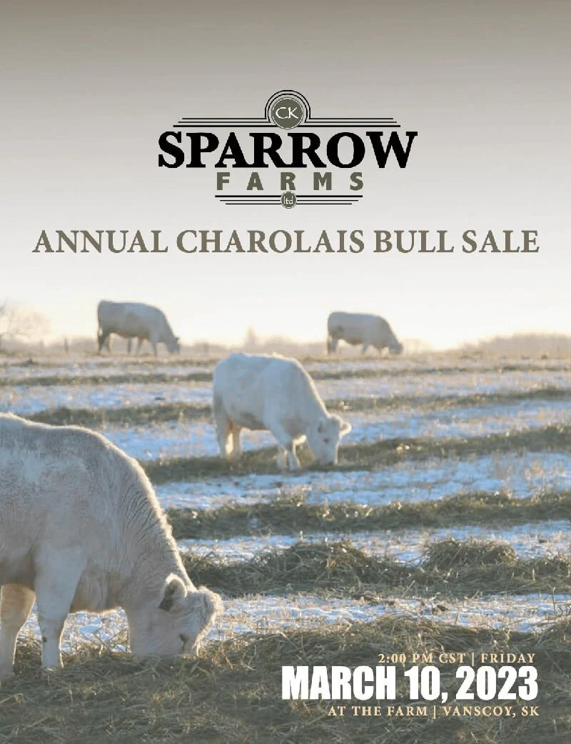 Bull Sale — CK Sparrow Farms