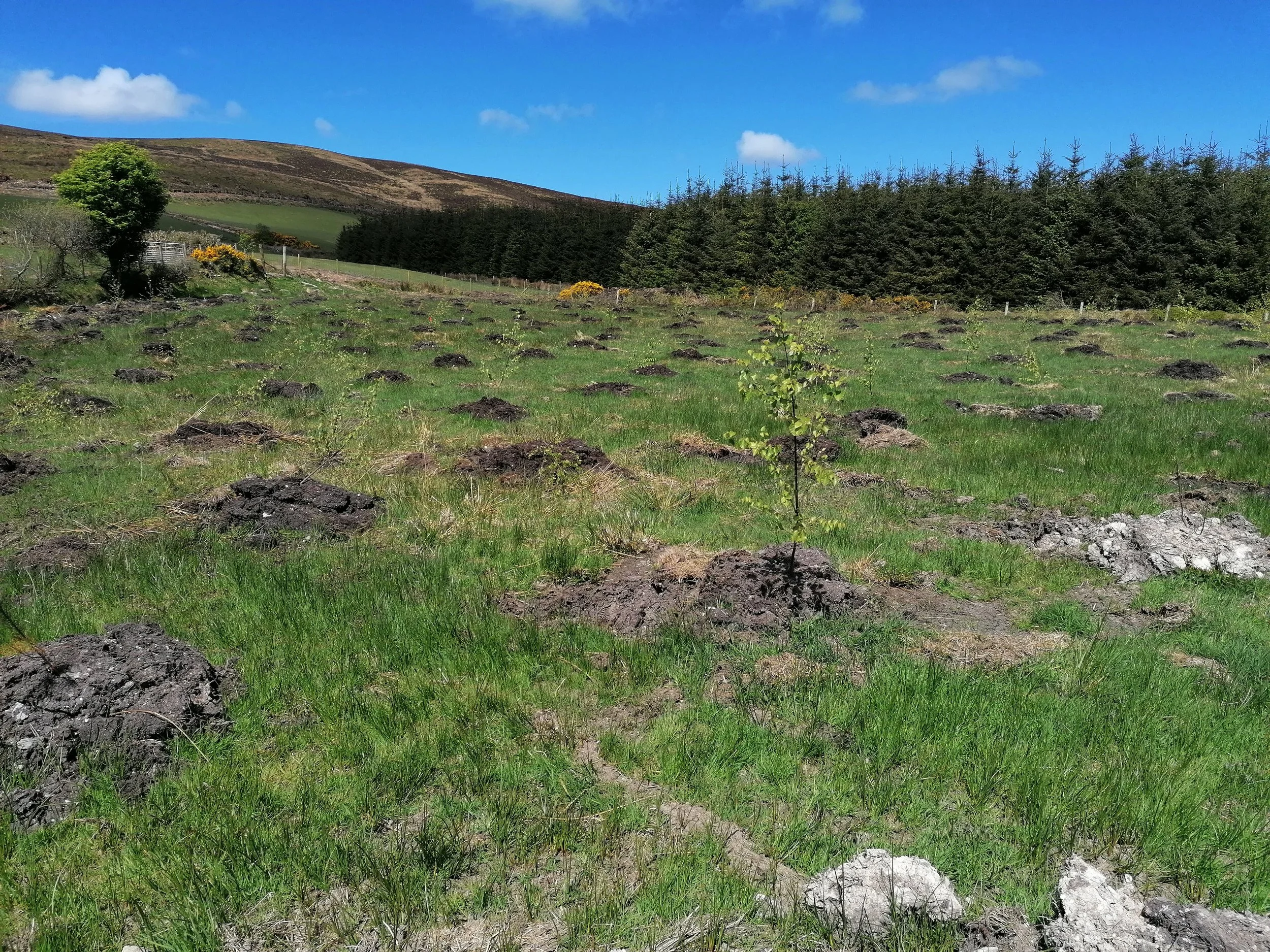 Irish Farmers Journal Visits Inishowen EIP Demonstration Farm ...
