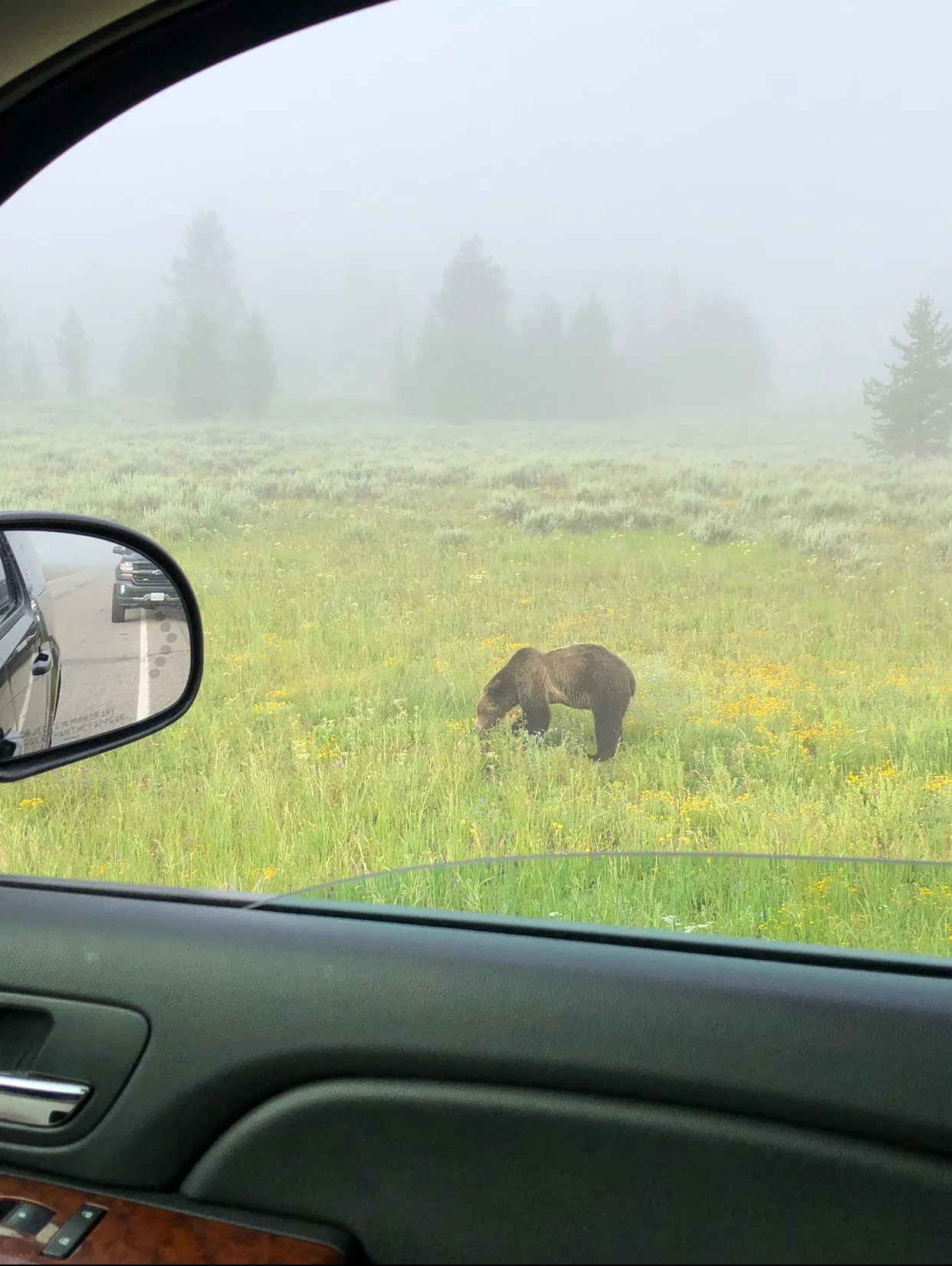 Yellowstone Adventure Tours