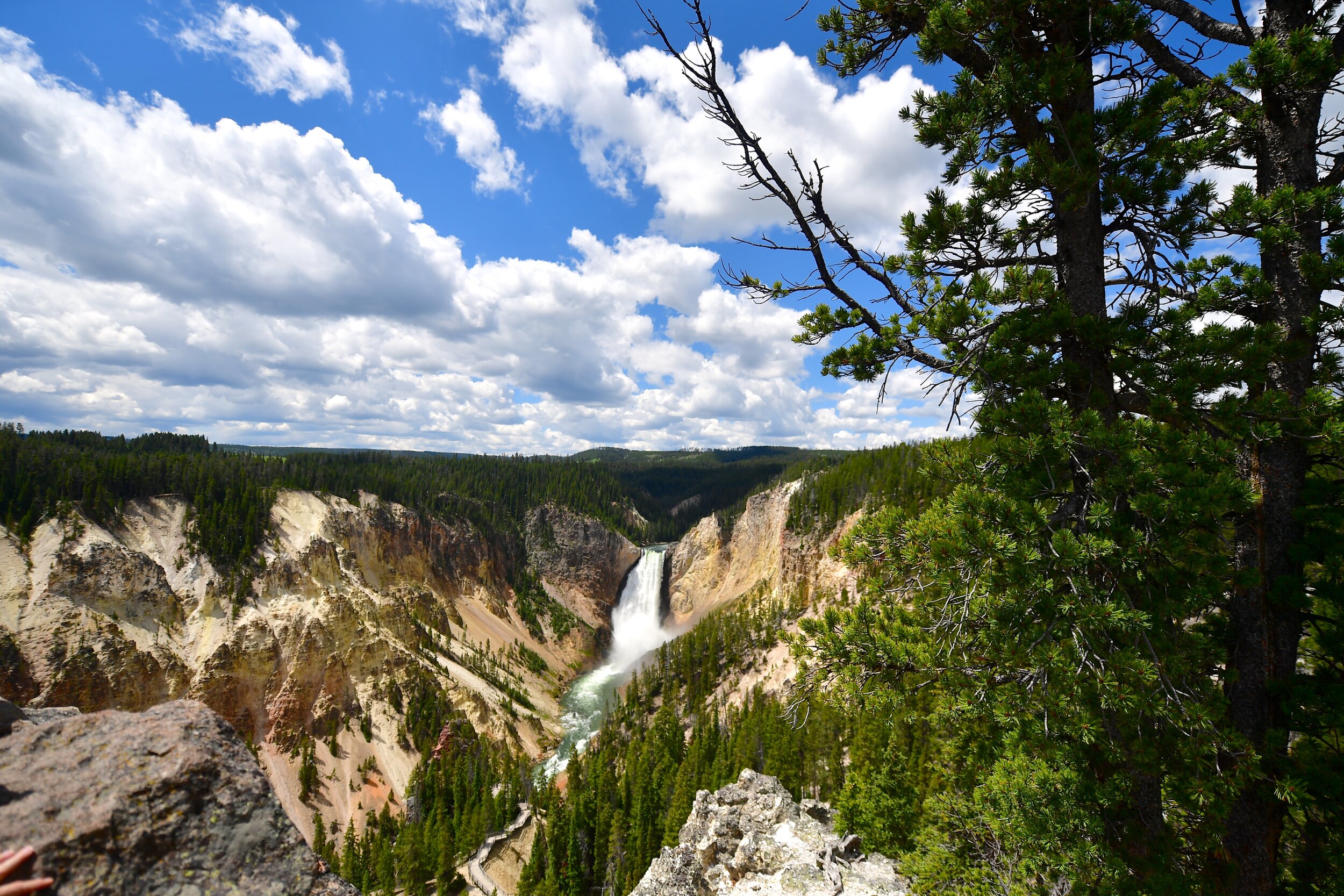 Yellowstone Adventure Tours