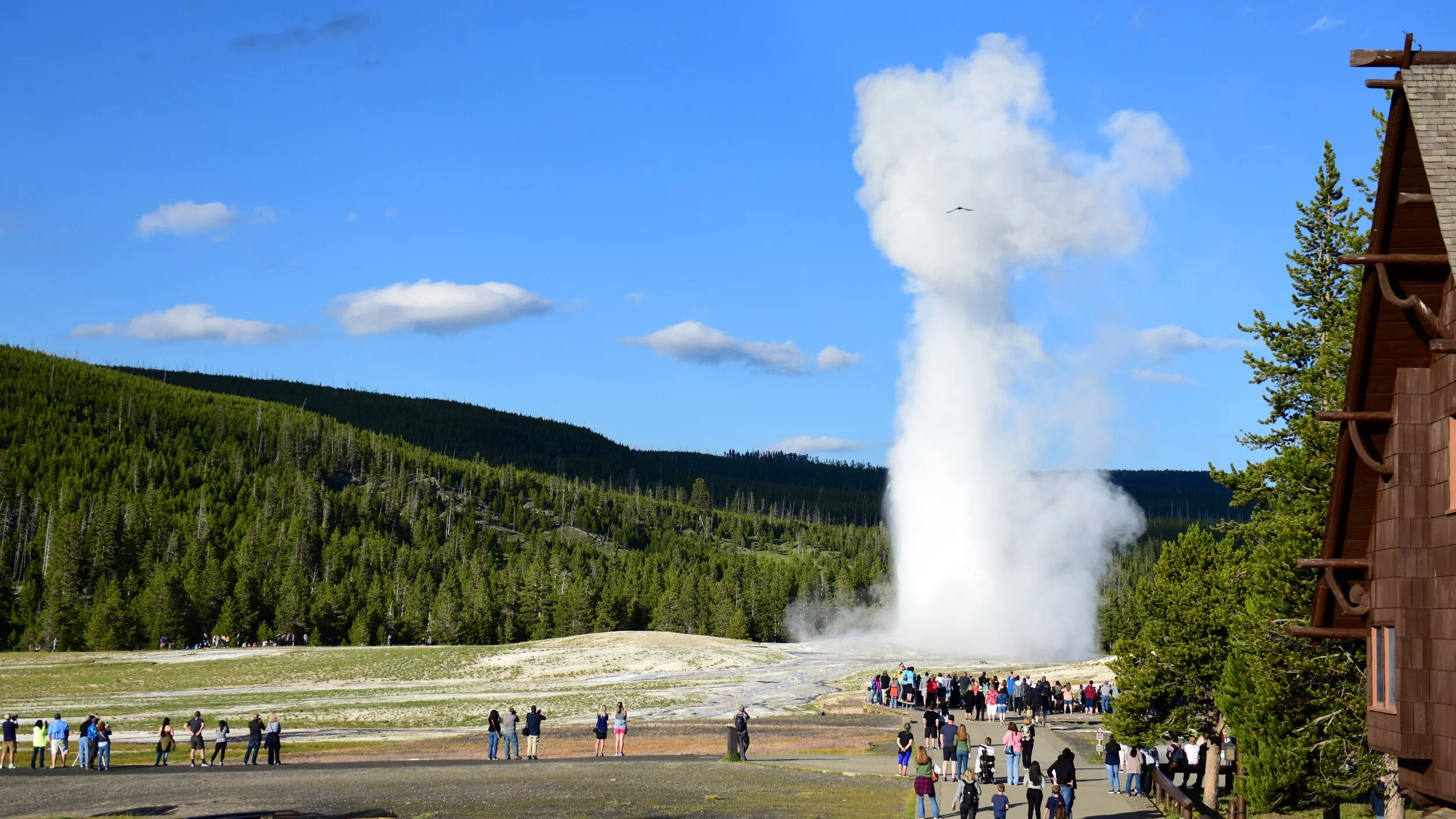 Yellowstone Adventure Tours