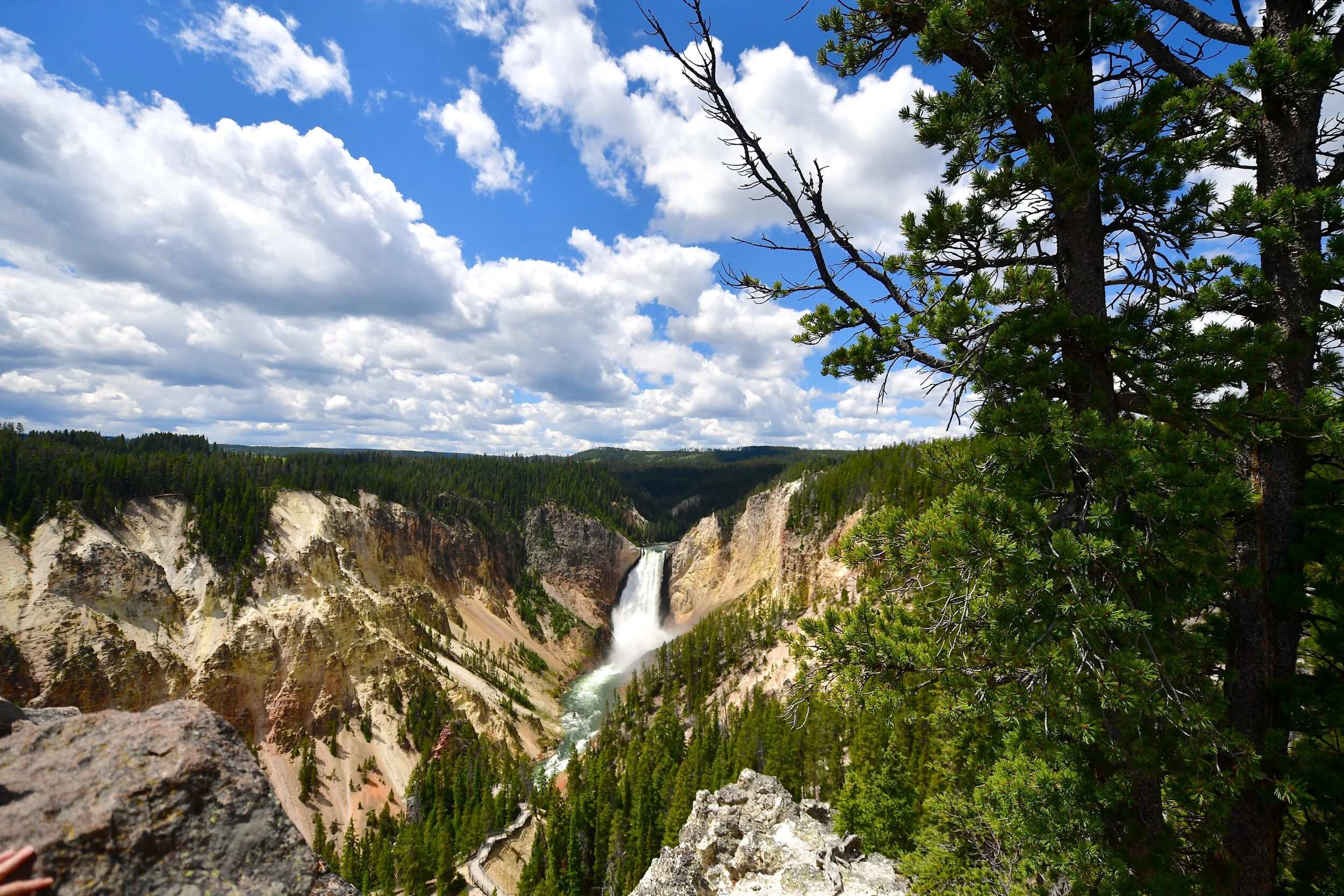 Yellowstone Adventure Tours