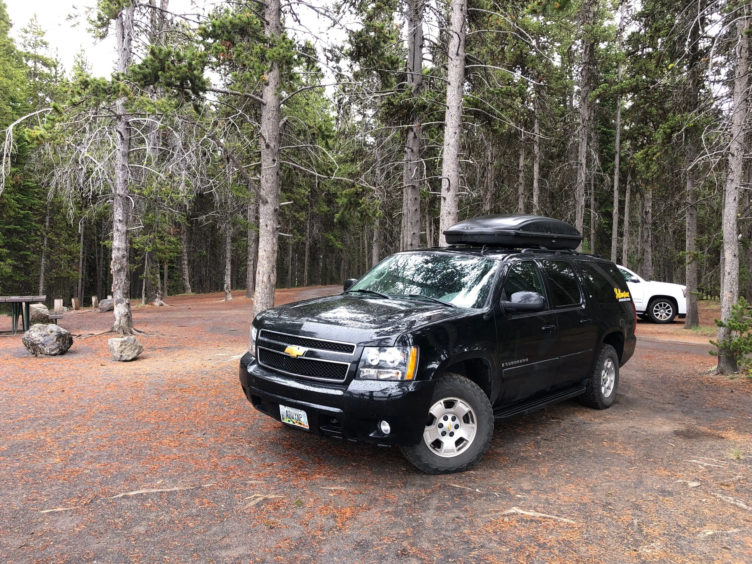 Yellowstone Adventure Tours