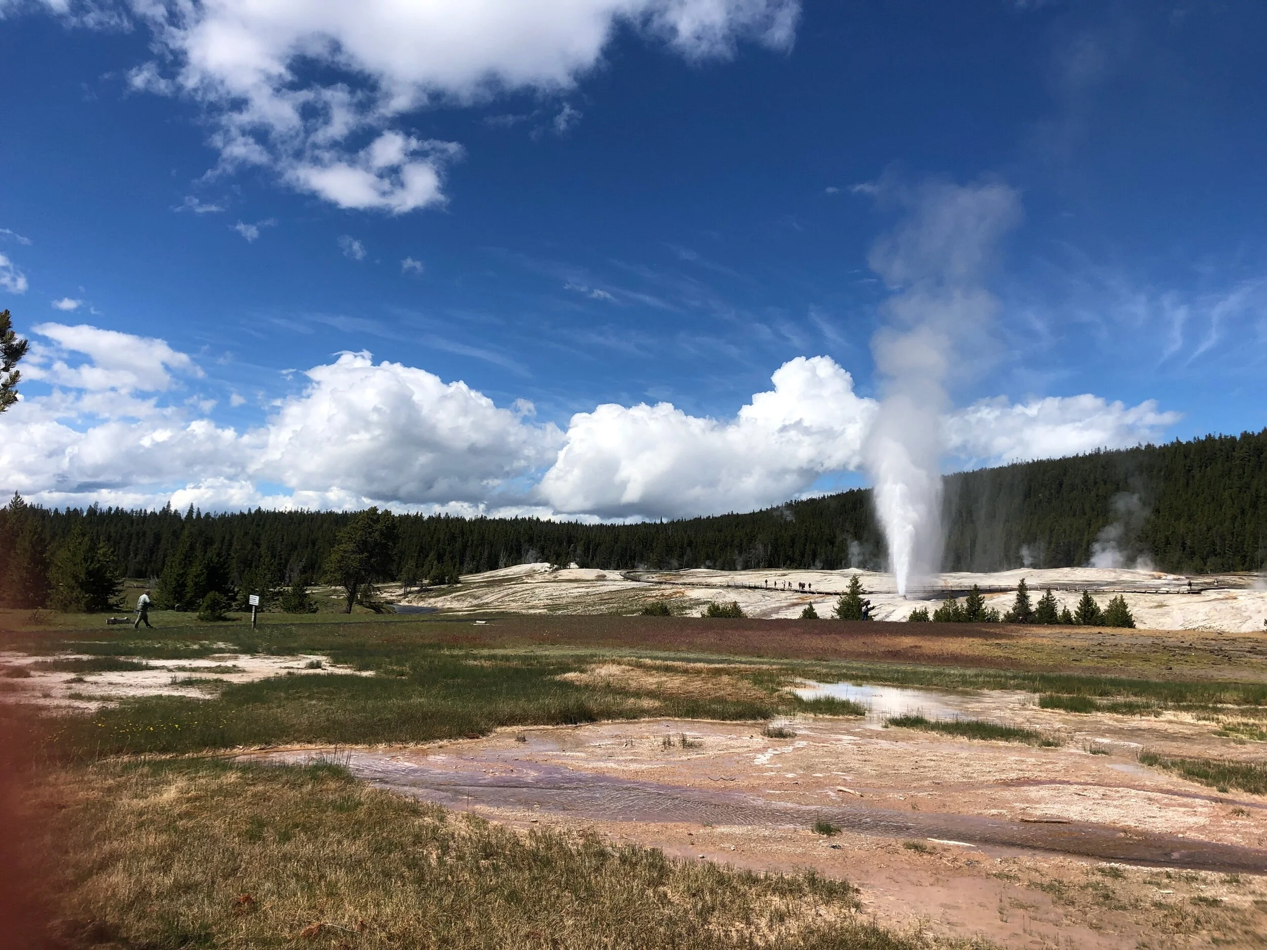 Yellowstone Adventure Tours