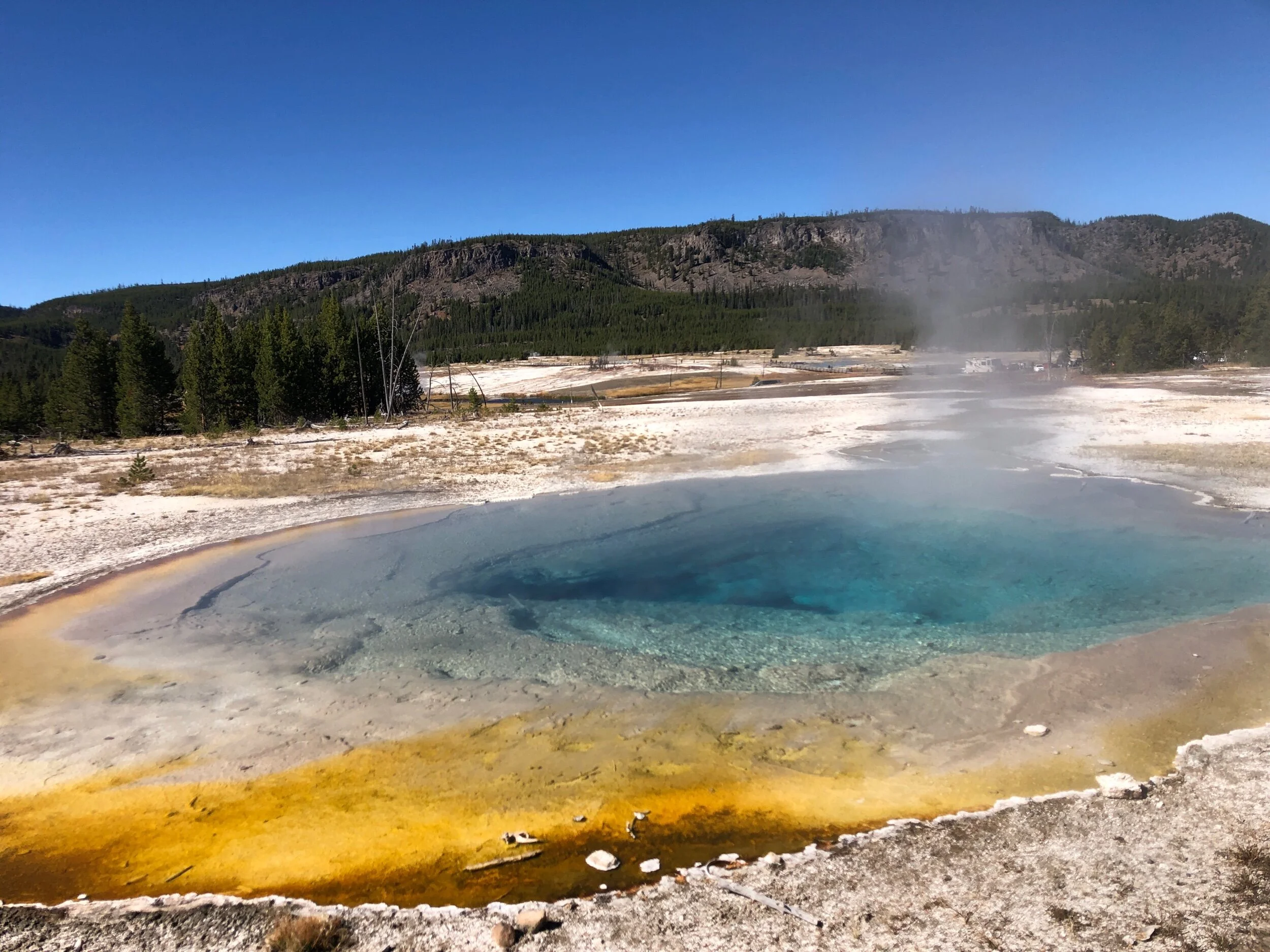 Yellowstone Adventure Tours