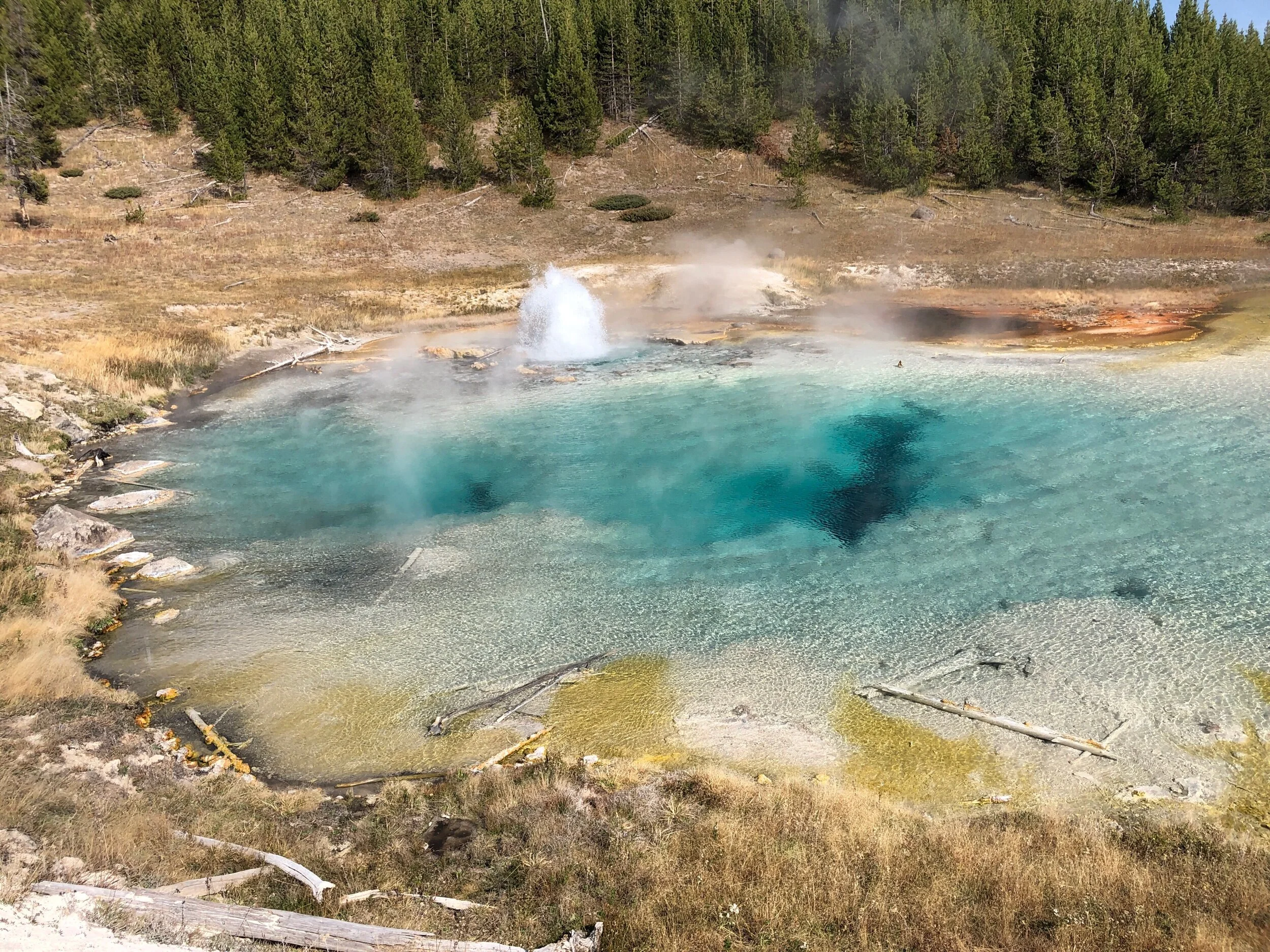 Yellowstone Adventure Tours