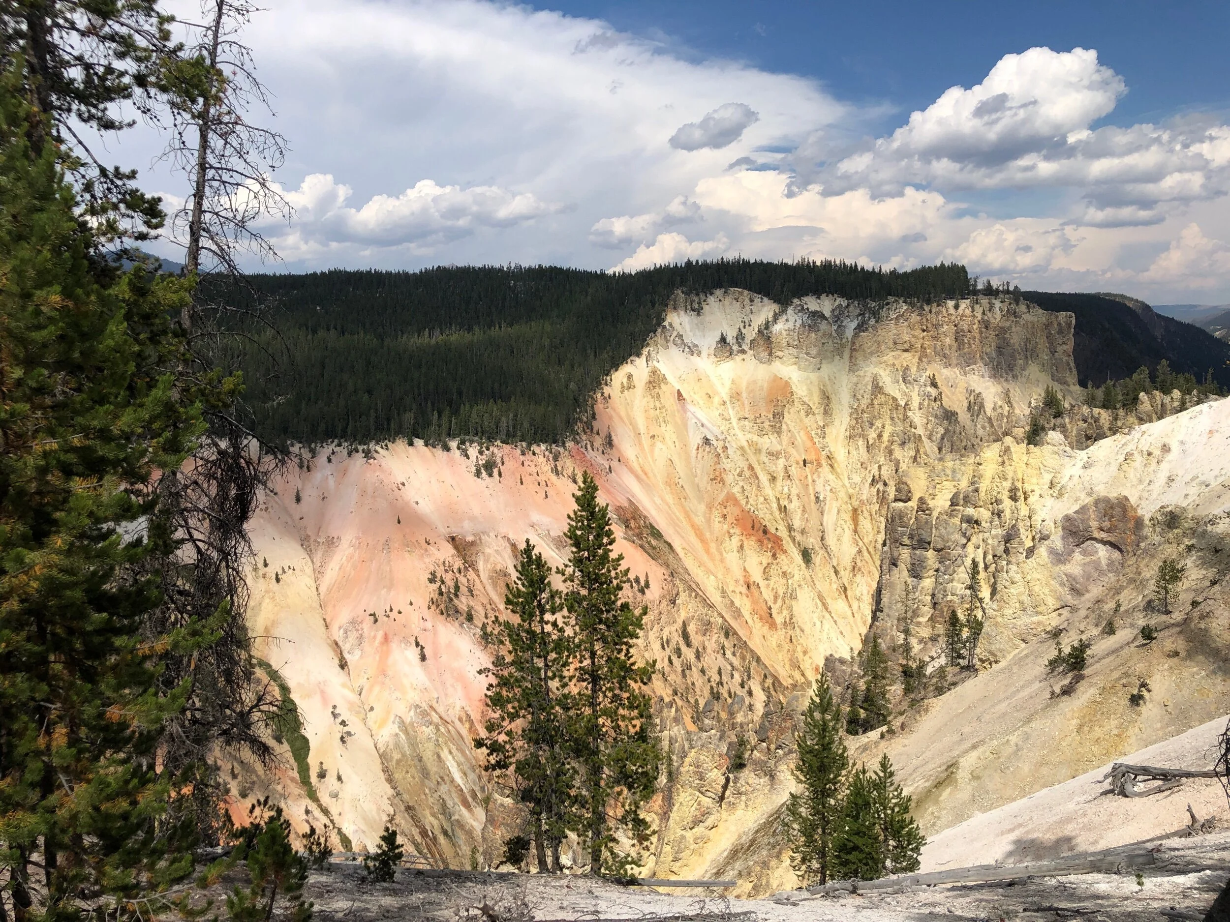 Yellowstone Adventure Tours