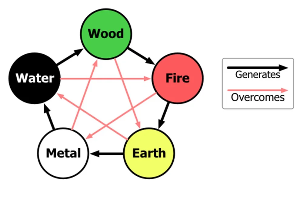 Traditional Chinese Medicine - Part II — Balanced Life Tai Chi