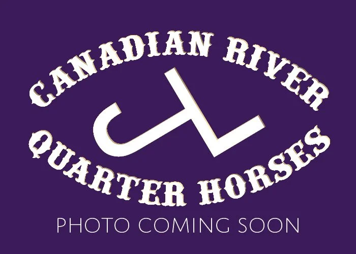 2023 Performance Prospects — Canadian River QH