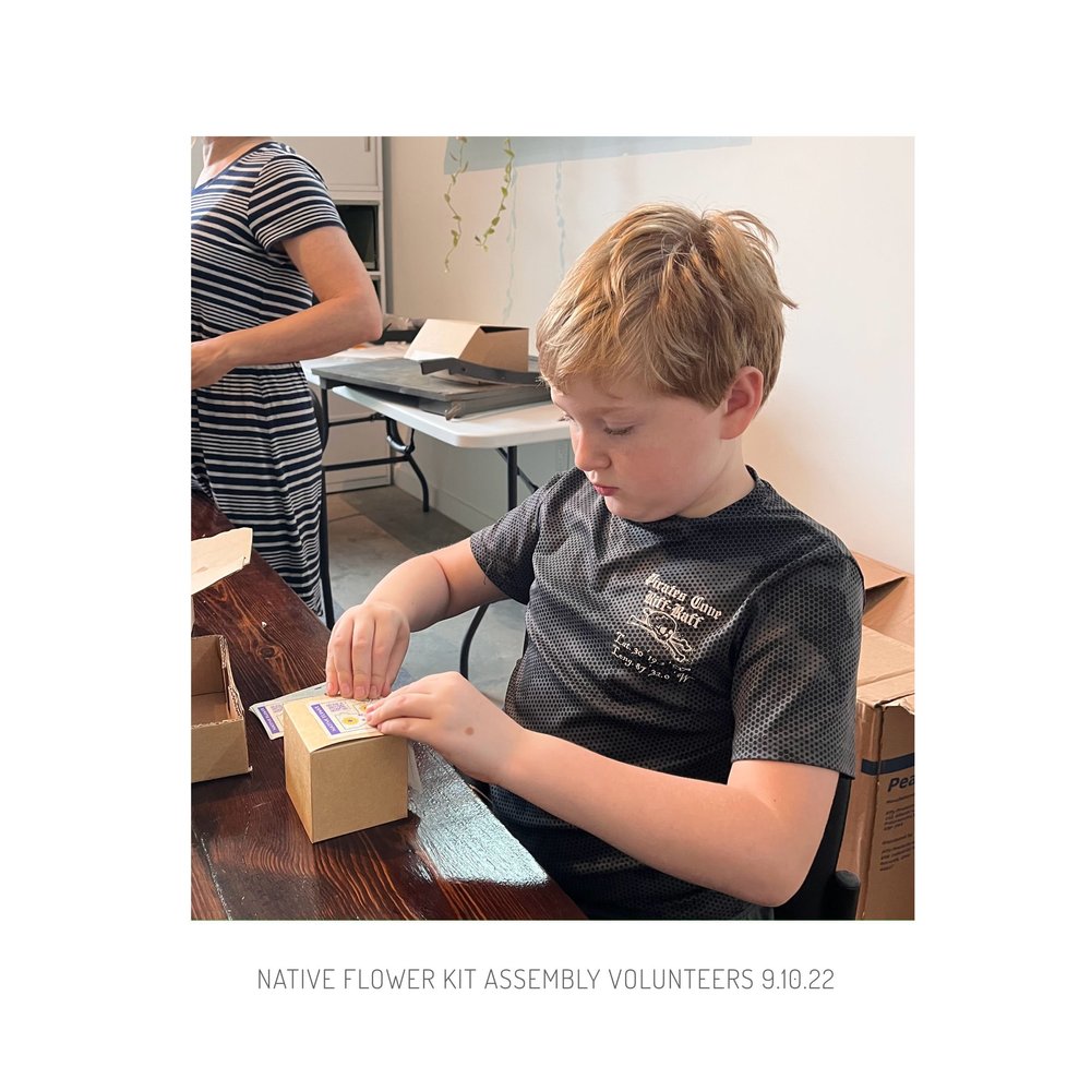 Native Flower Starter Kit — Grounds Krewe