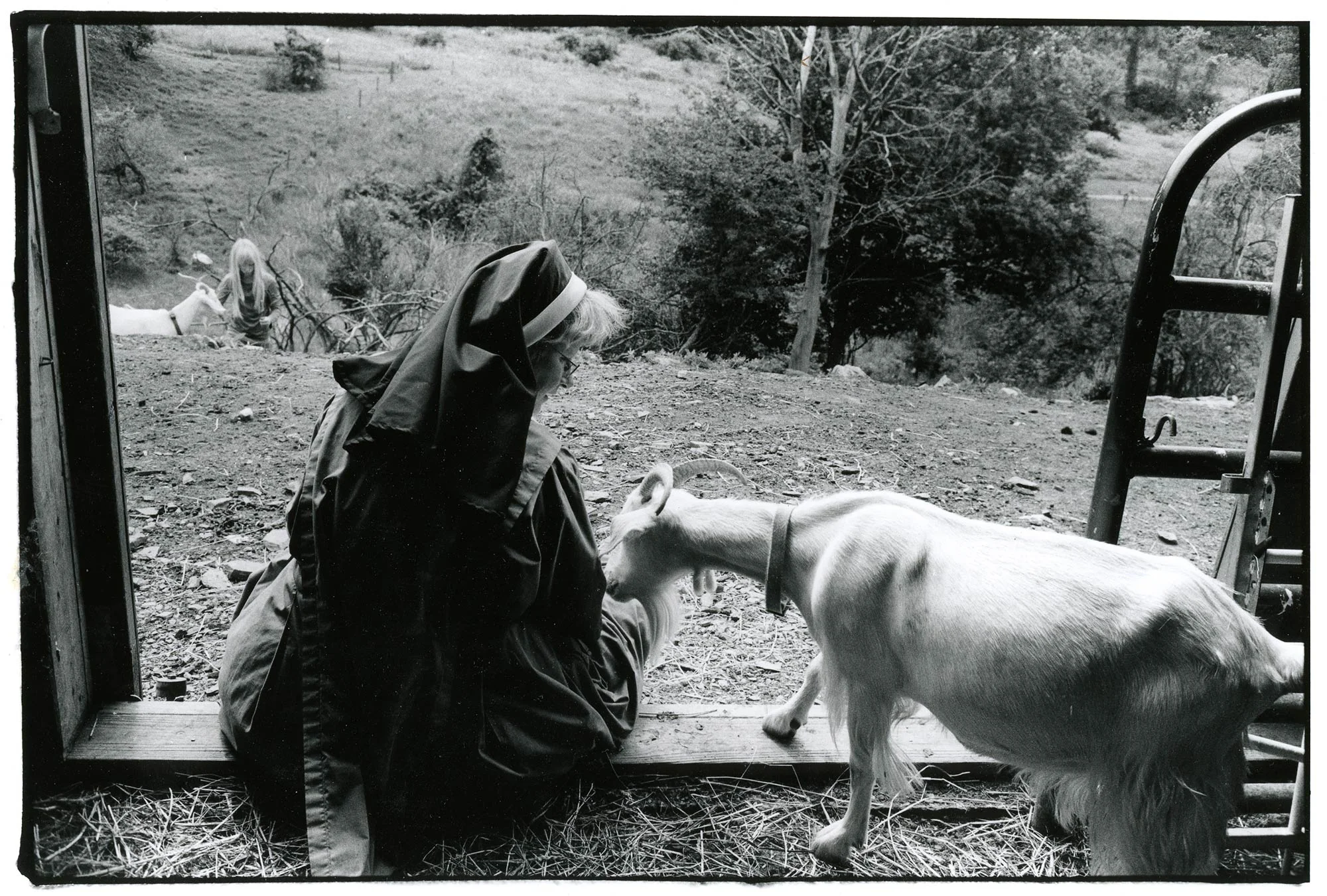 Mothers and Sisters (2015-present) — Dona Ann McAdams