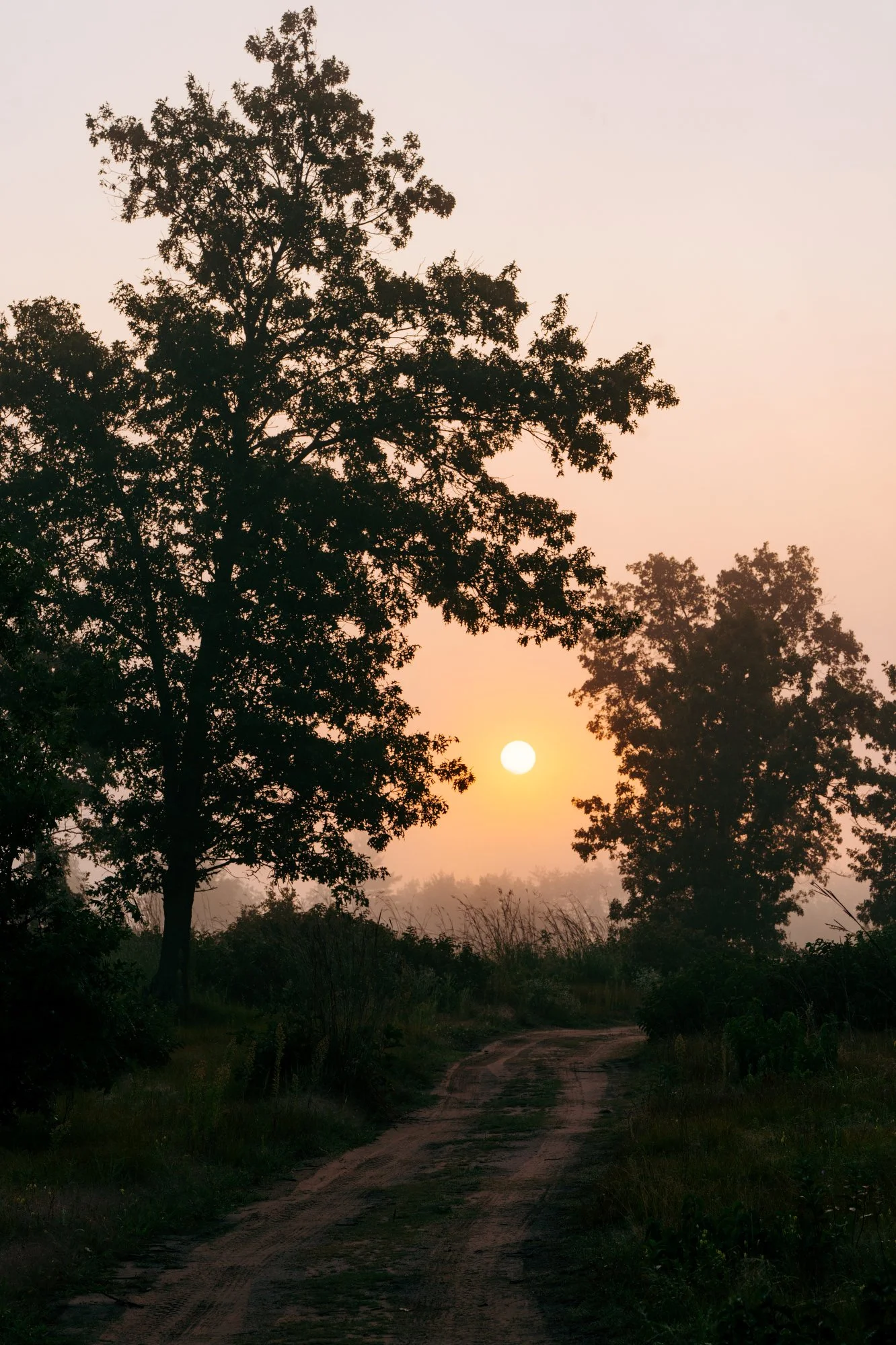 SEDGE VALLEY — Jeff Marsh Golf Photographer