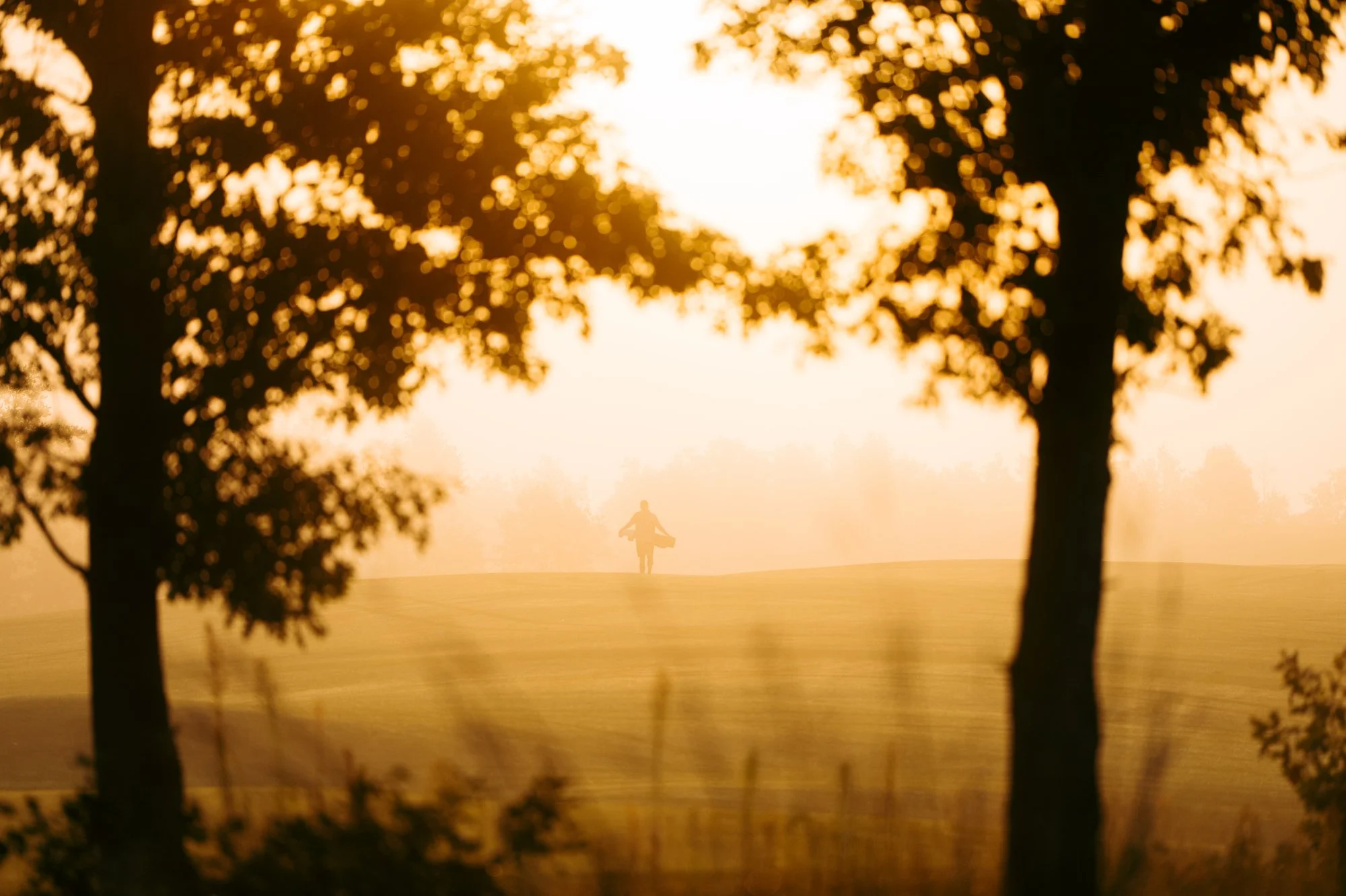 SEDGE VALLEY — Jeff Marsh Golf Photographer