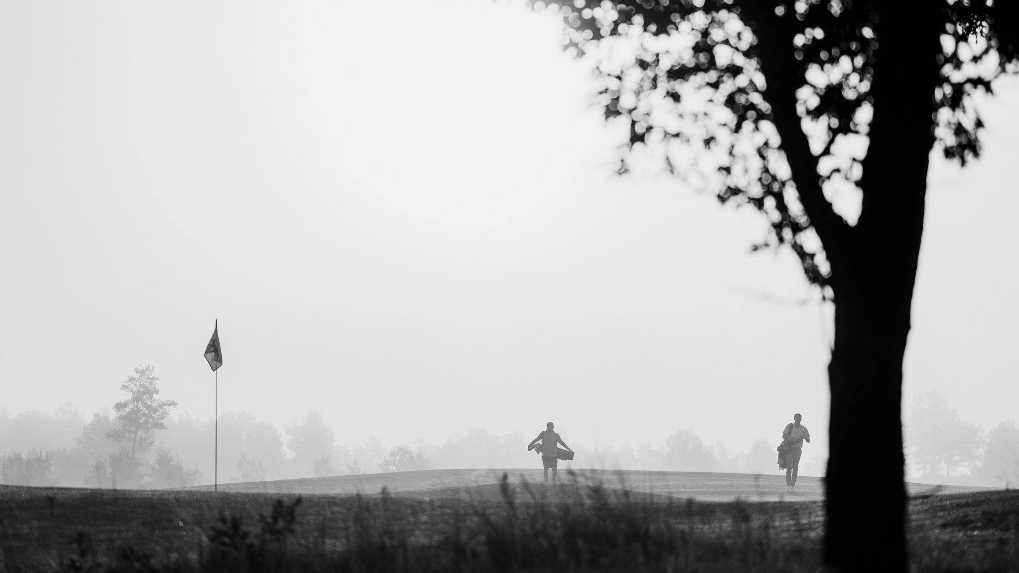 SEDGE VALLEY — Jeff Marsh Golf Photographer