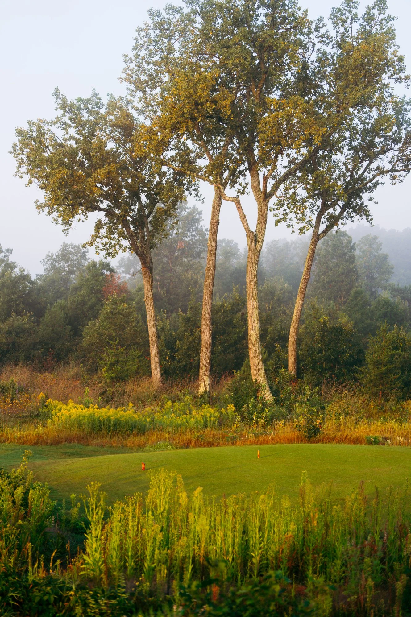 SEDGE VALLEY — Jeff Marsh Golf Photographer