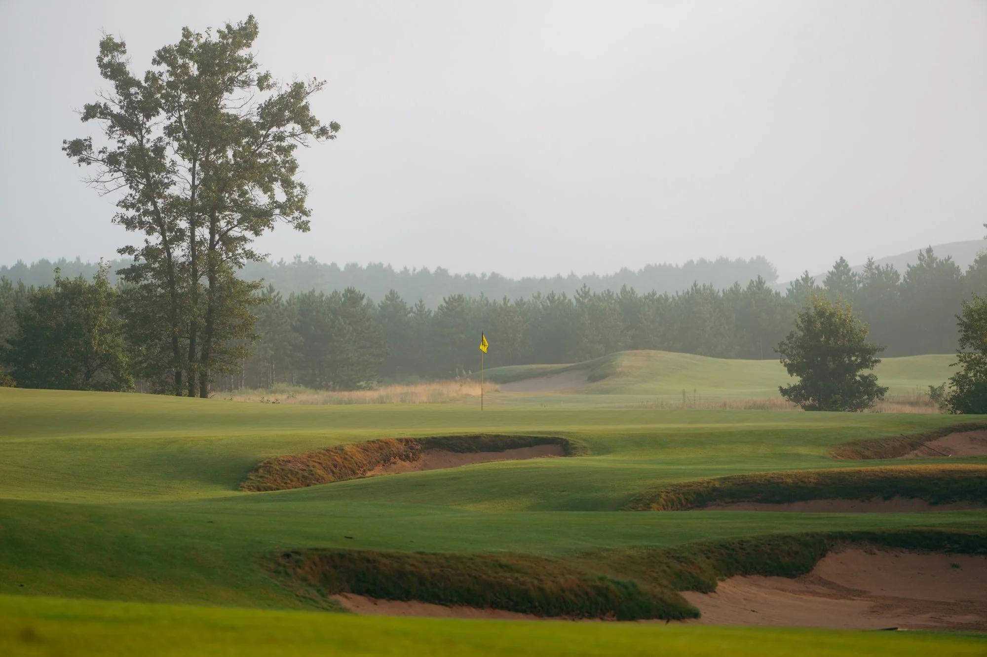 SEDGE VALLEY — Jeff Marsh Golf Photographer