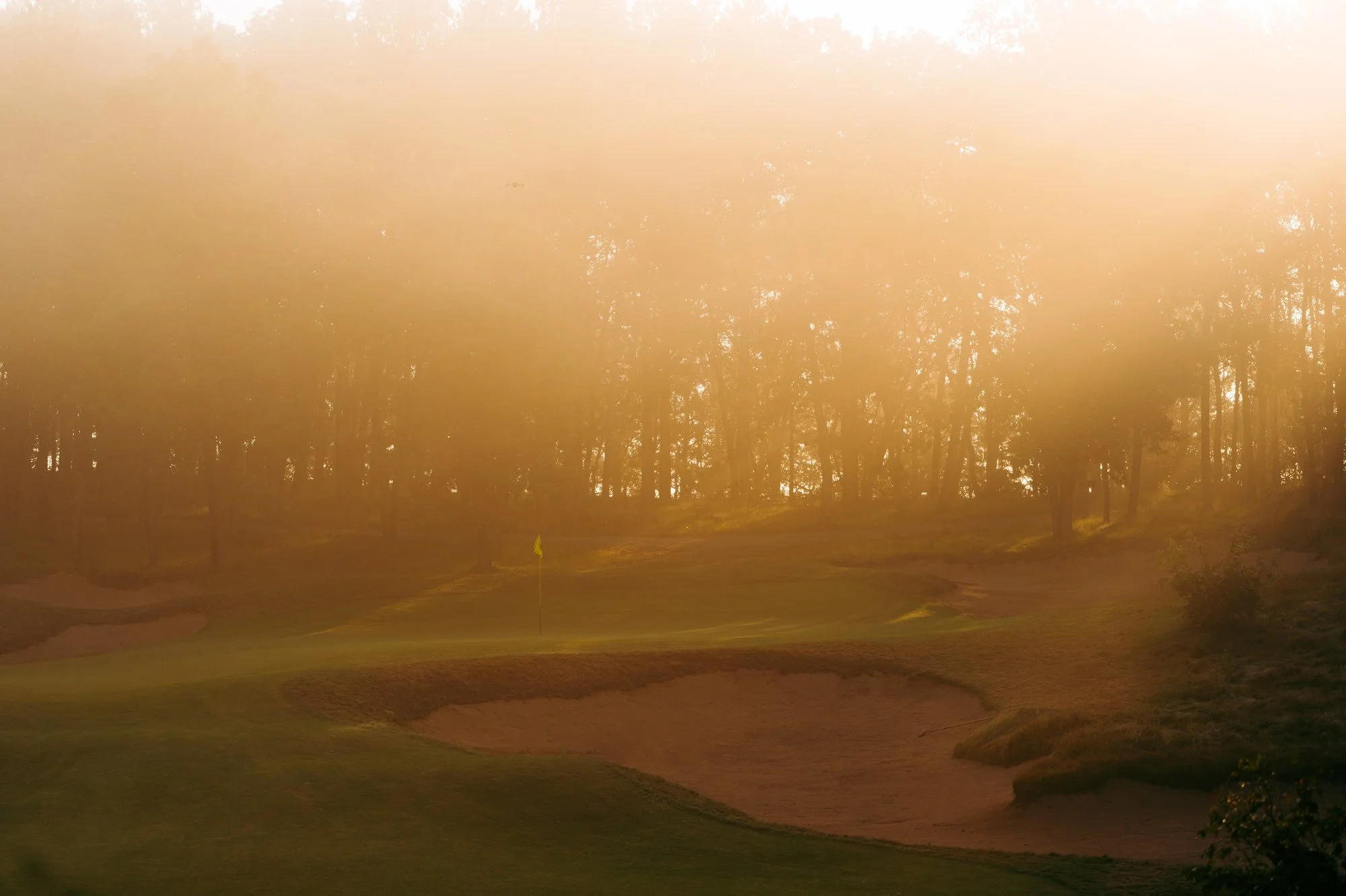 SEDGE VALLEY — Jeff Marsh Golf Photographer