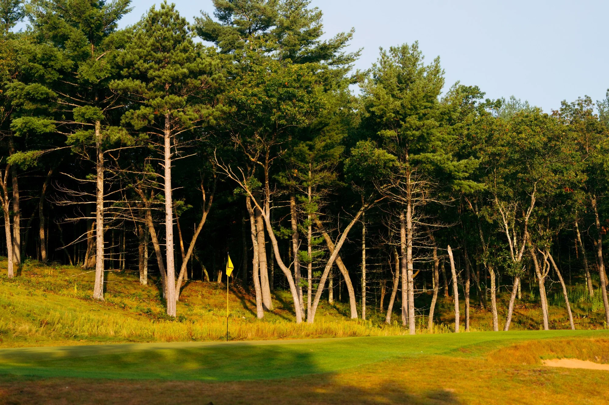 SEDGE VALLEY — Jeff Marsh Golf Photographer